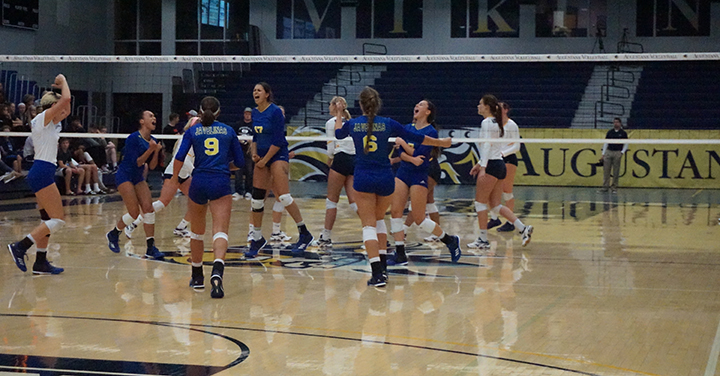 Gabby Atchley - Women's Volleyball - Texas A&M - Kingsville Athletics