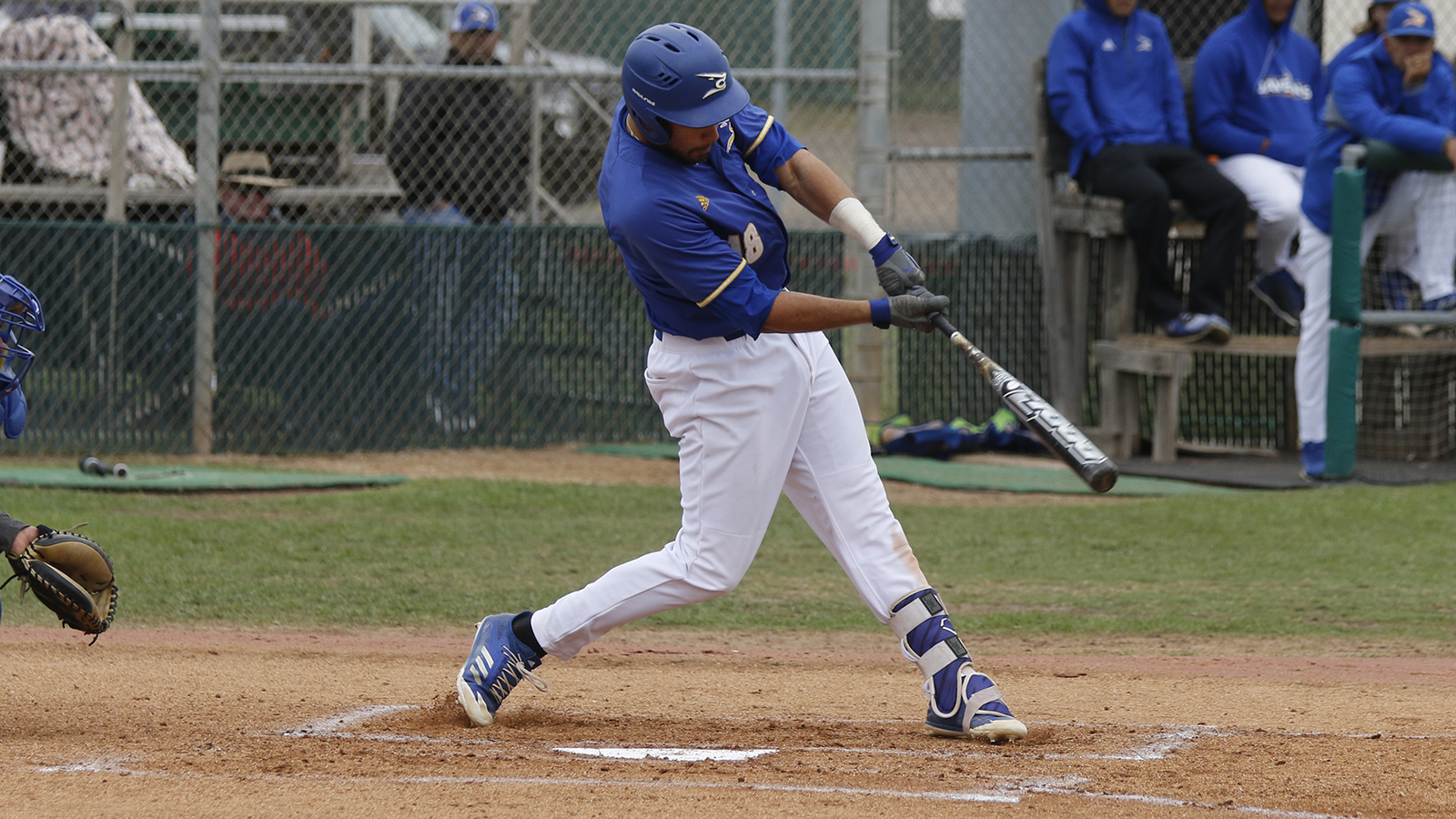 Pablo Hernandez - Baseball - Texas A&M - Kingsville Athletics