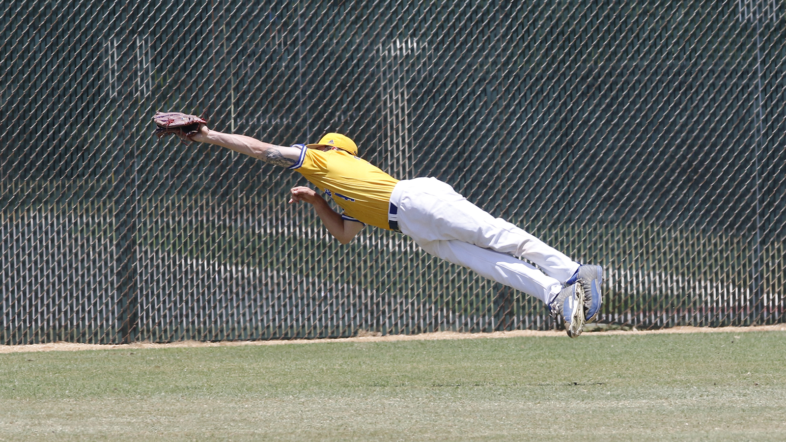 Austin Ingraham - Baseball - Texas A&M - Kingsville Athletics