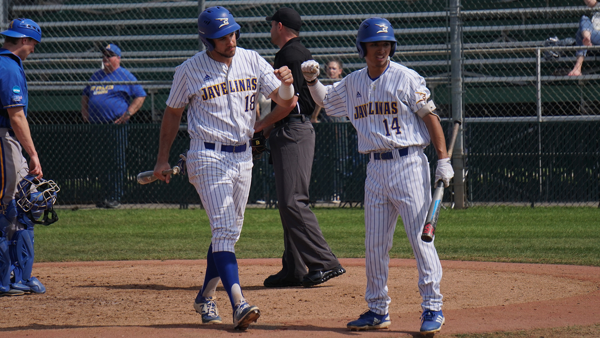 Rey Chapa - Baseball - Texas A&M - Kingsville Athletics