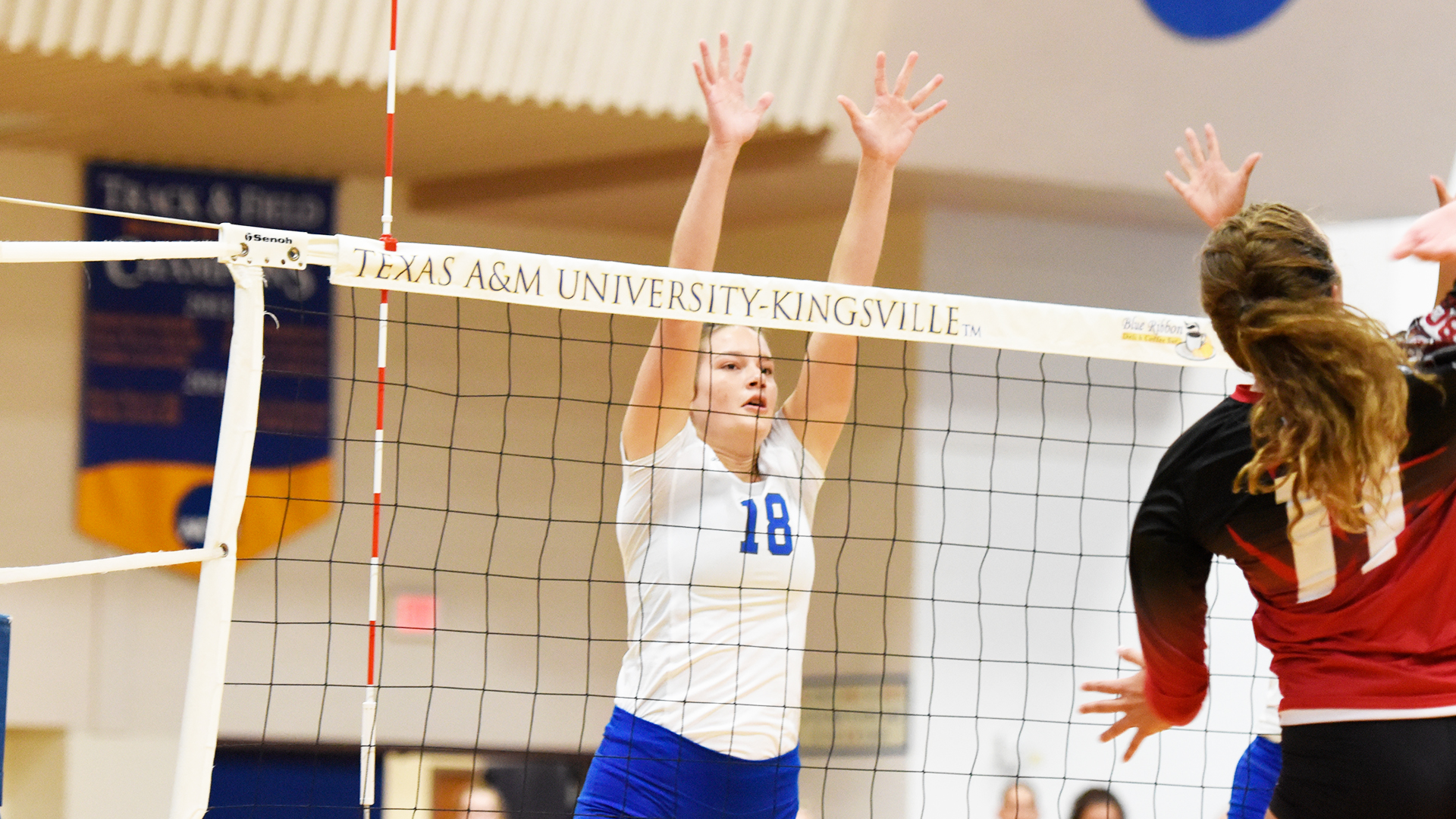 Bryce Earl - Women's Volleyball - Texas A&M - Kingsville Athletics