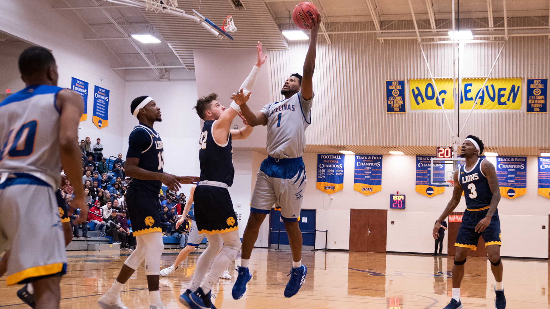 Daniel Severo - Men's Basketball - Texas A&M - Kingsville Athletics