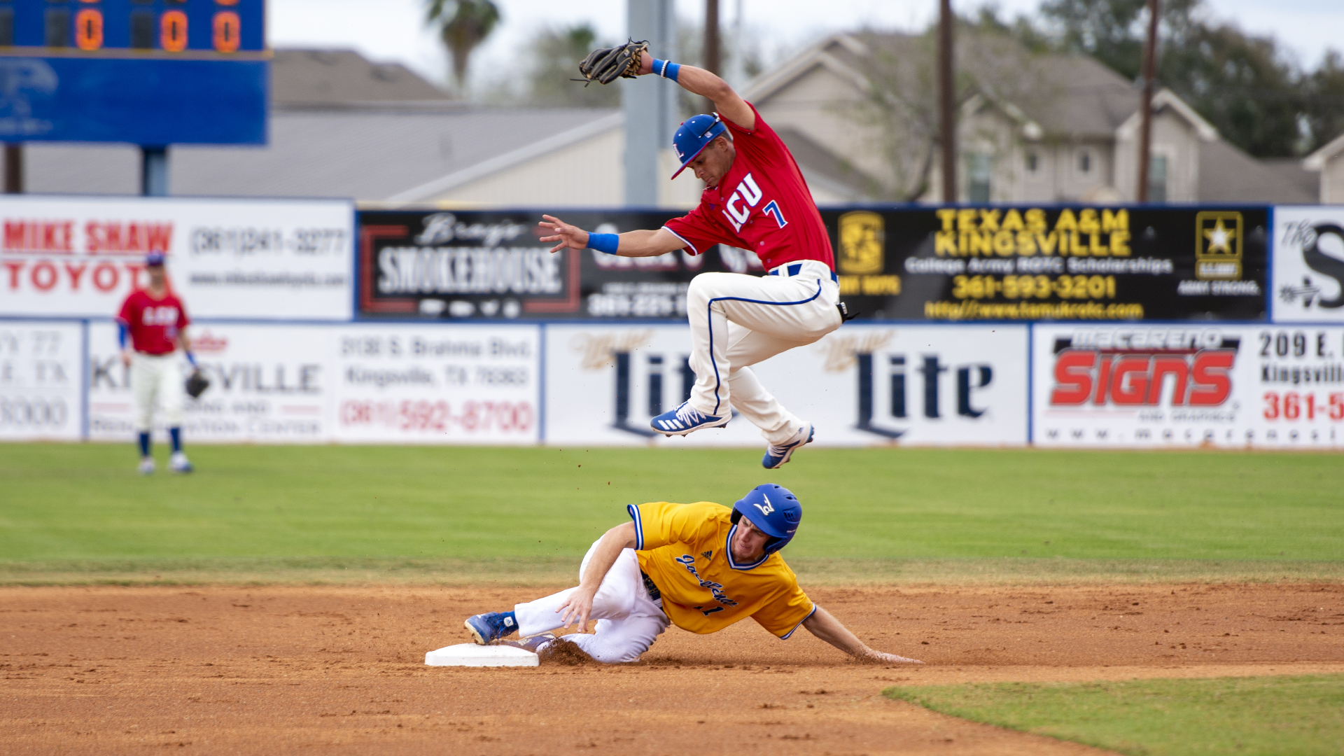 Matthew Stary - Baseball - Texas A&M - Kingsville Athletics