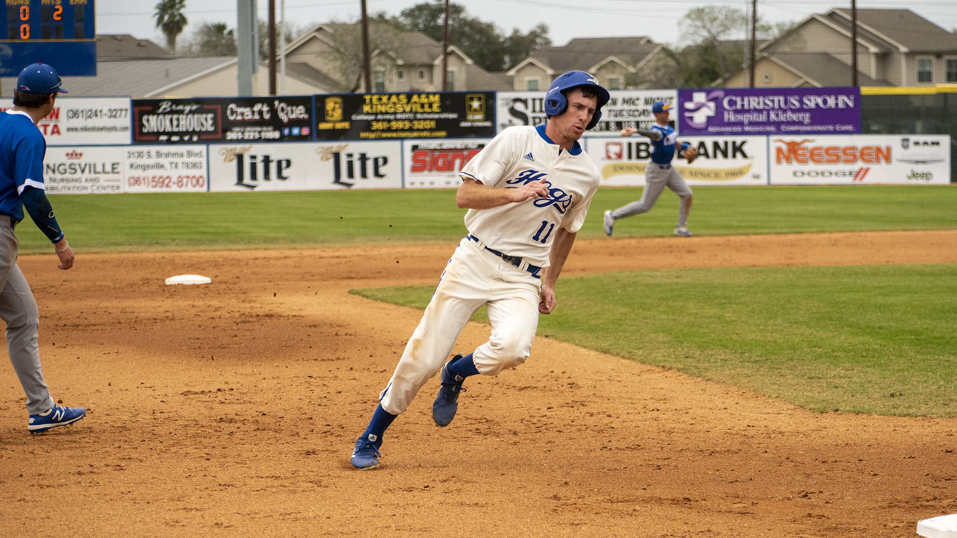 Matthew Stary - Baseball - Texas A&M - Kingsville Athletics
