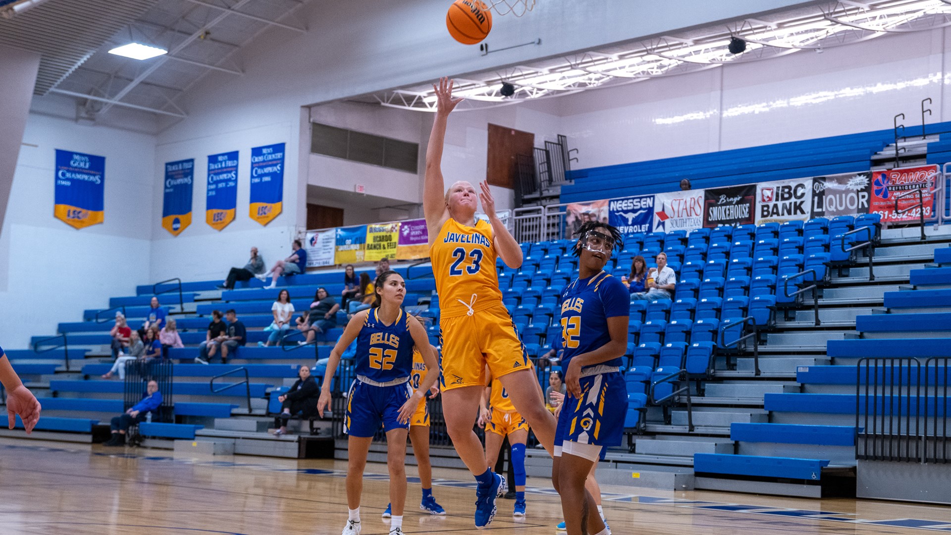 Devon Williams - Women's Basketball - Texas A&M - Kingsville Athletics
