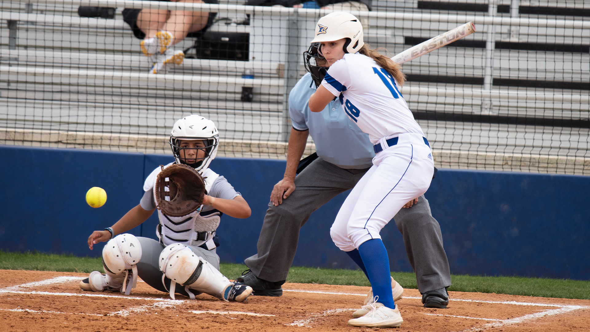 Claire Chernosky - Softball - Texas A&M - Kingsville Athletics