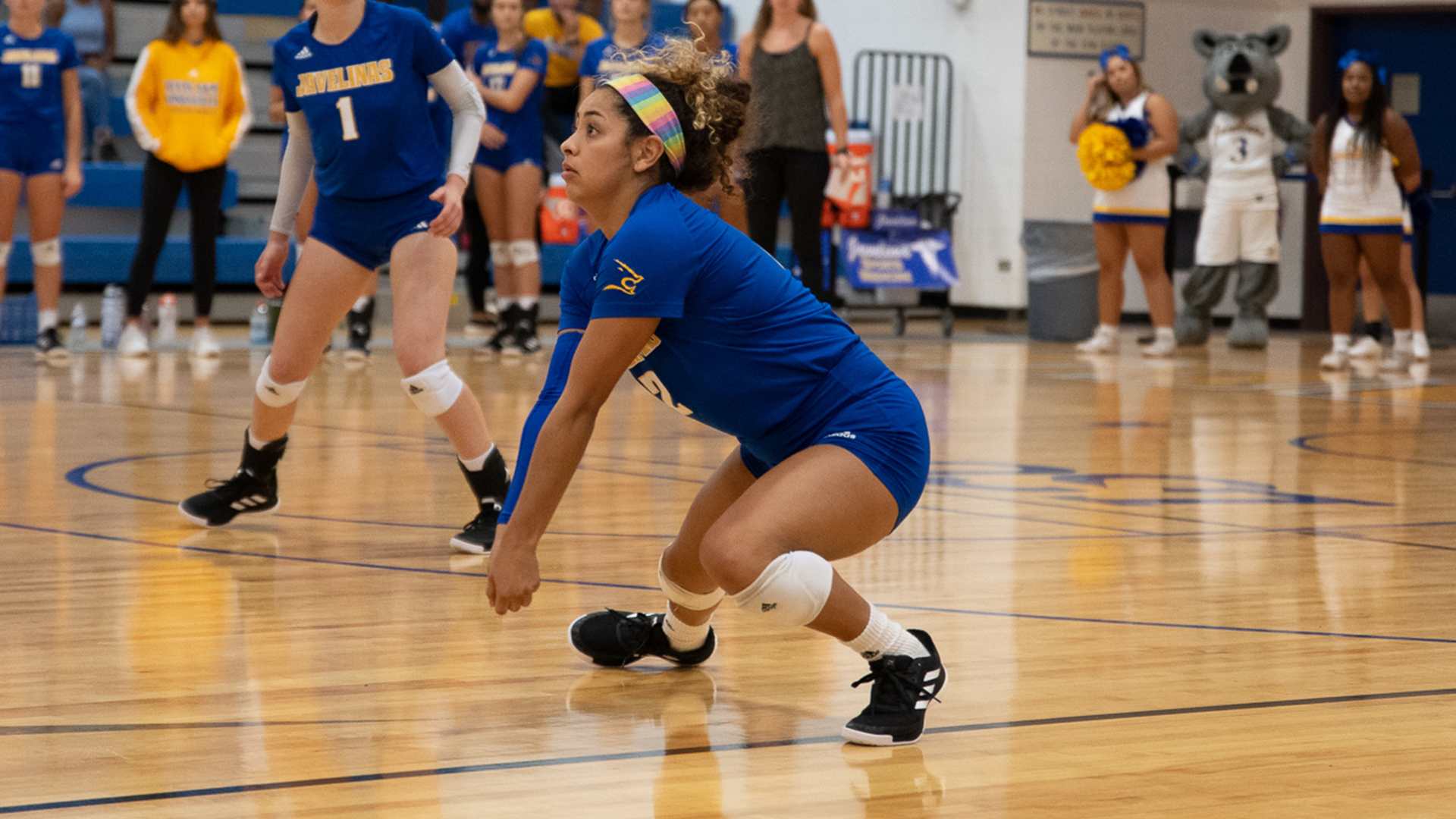 Alexa Ruiz - Women's Volleyball - Texas A&M - Kingsville Athletics