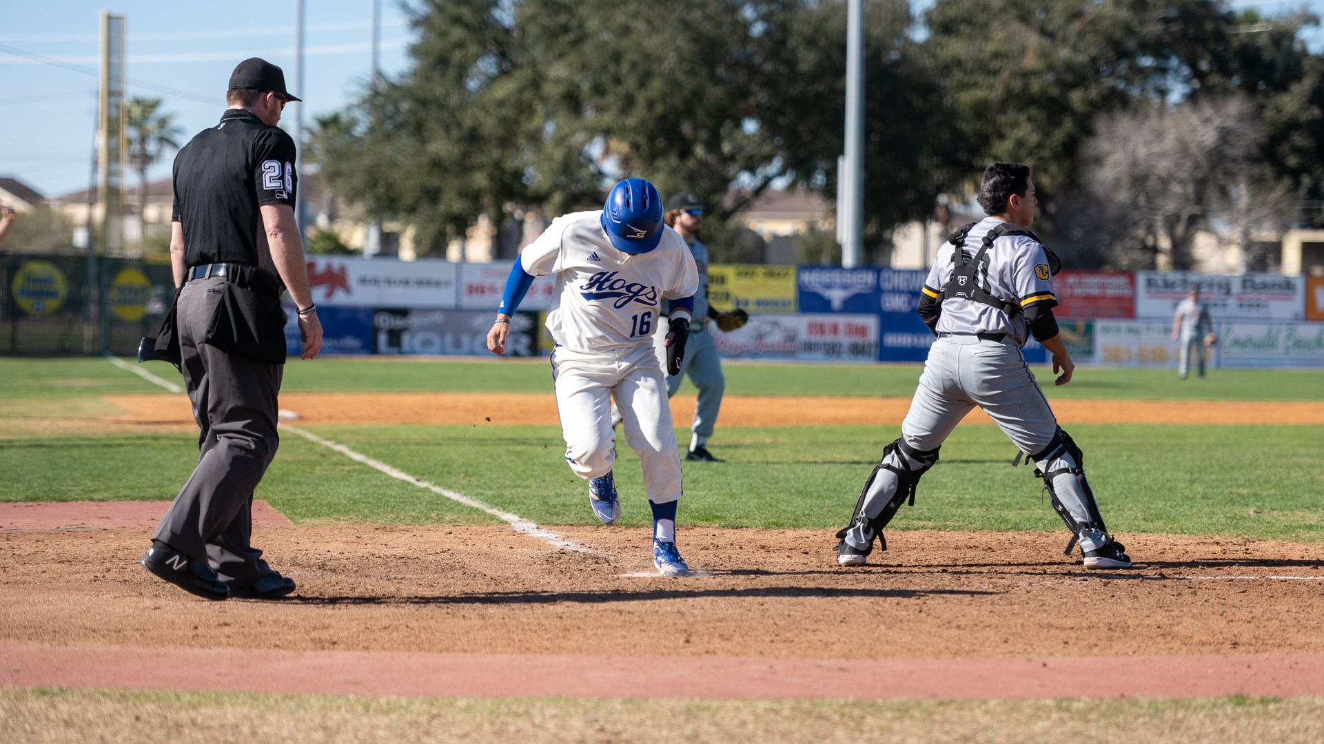 Ramsey Amador - Baseball - Texas A&M - Kingsville Athletics