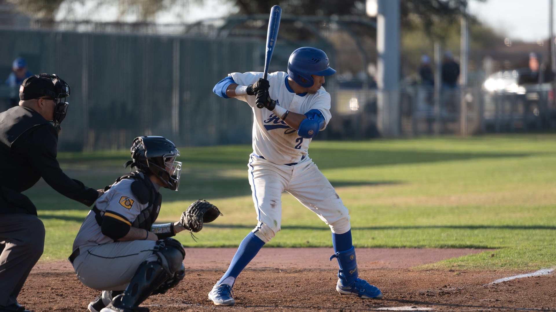 Ivan Duarte - Baseball - Texas A&M - Kingsville Athletics