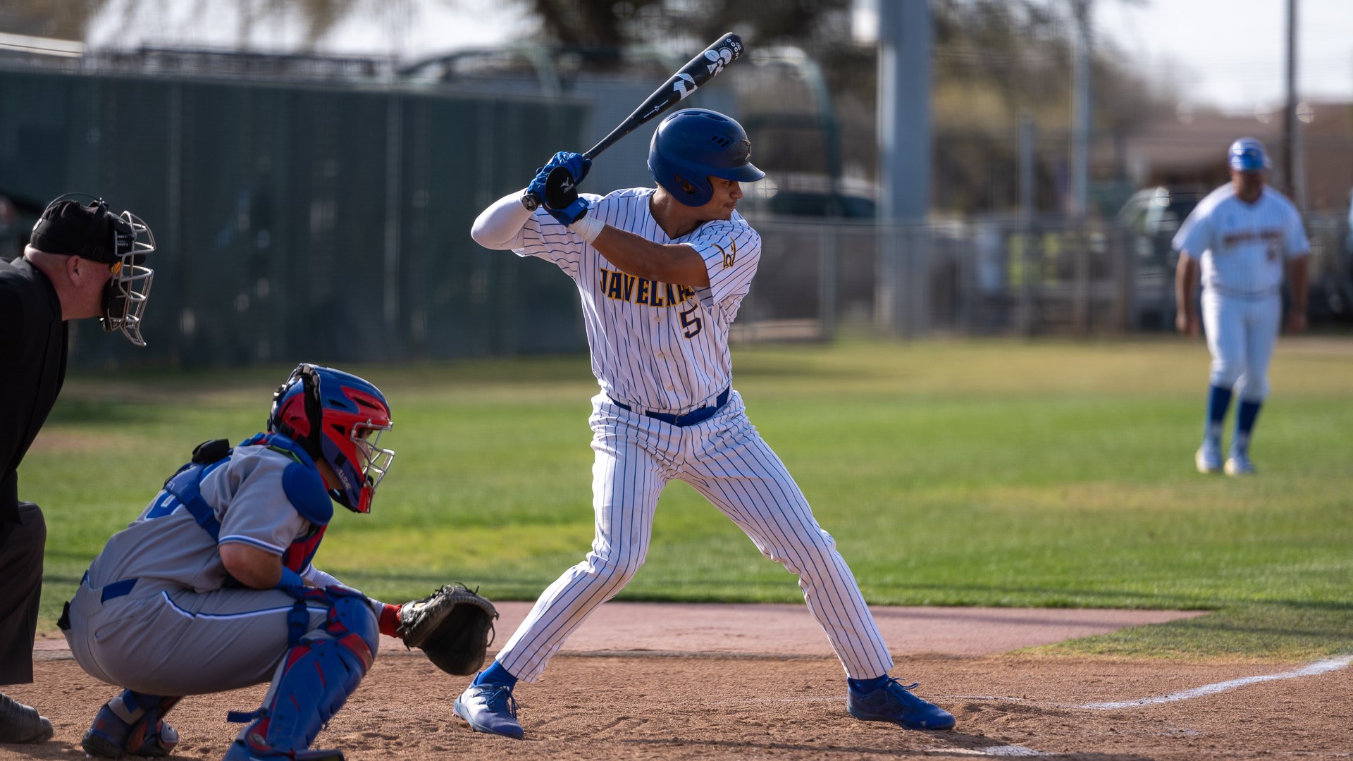 Matthew Castro - Baseball - Texas A&M - Kingsville Athletics