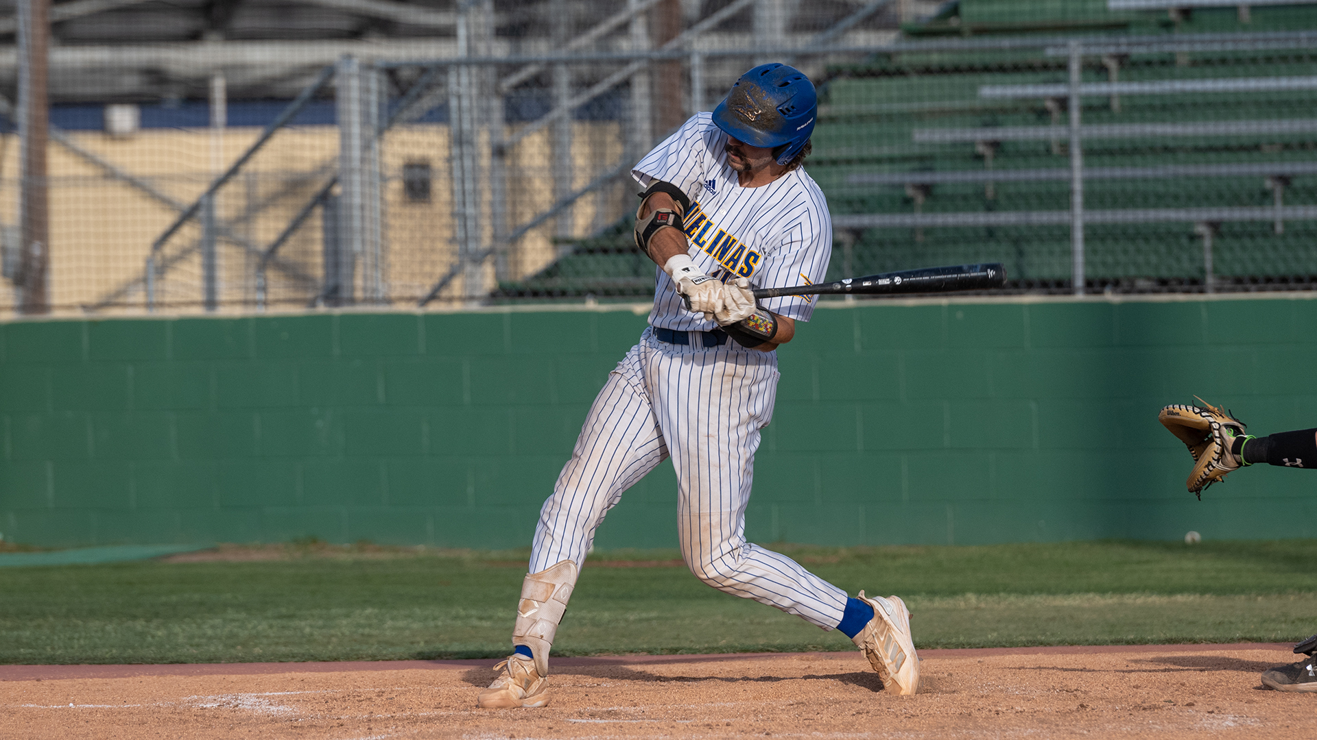 Nick Wolff - Baseball - Texas A&M - Kingsville Athletics
