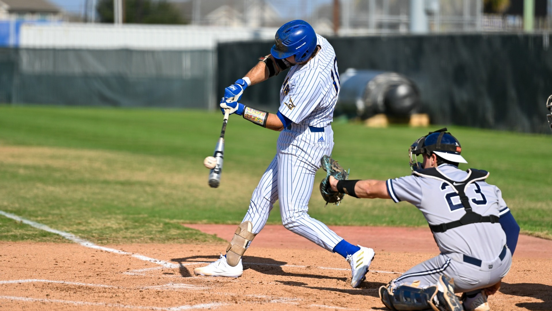 Nick Wolff - Baseball - Texas A&M - Kingsville Athletics