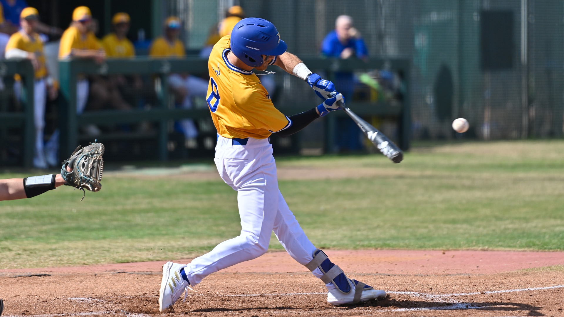 Shelby Becker - Baseball - Texas A&M - Kingsville Athletics