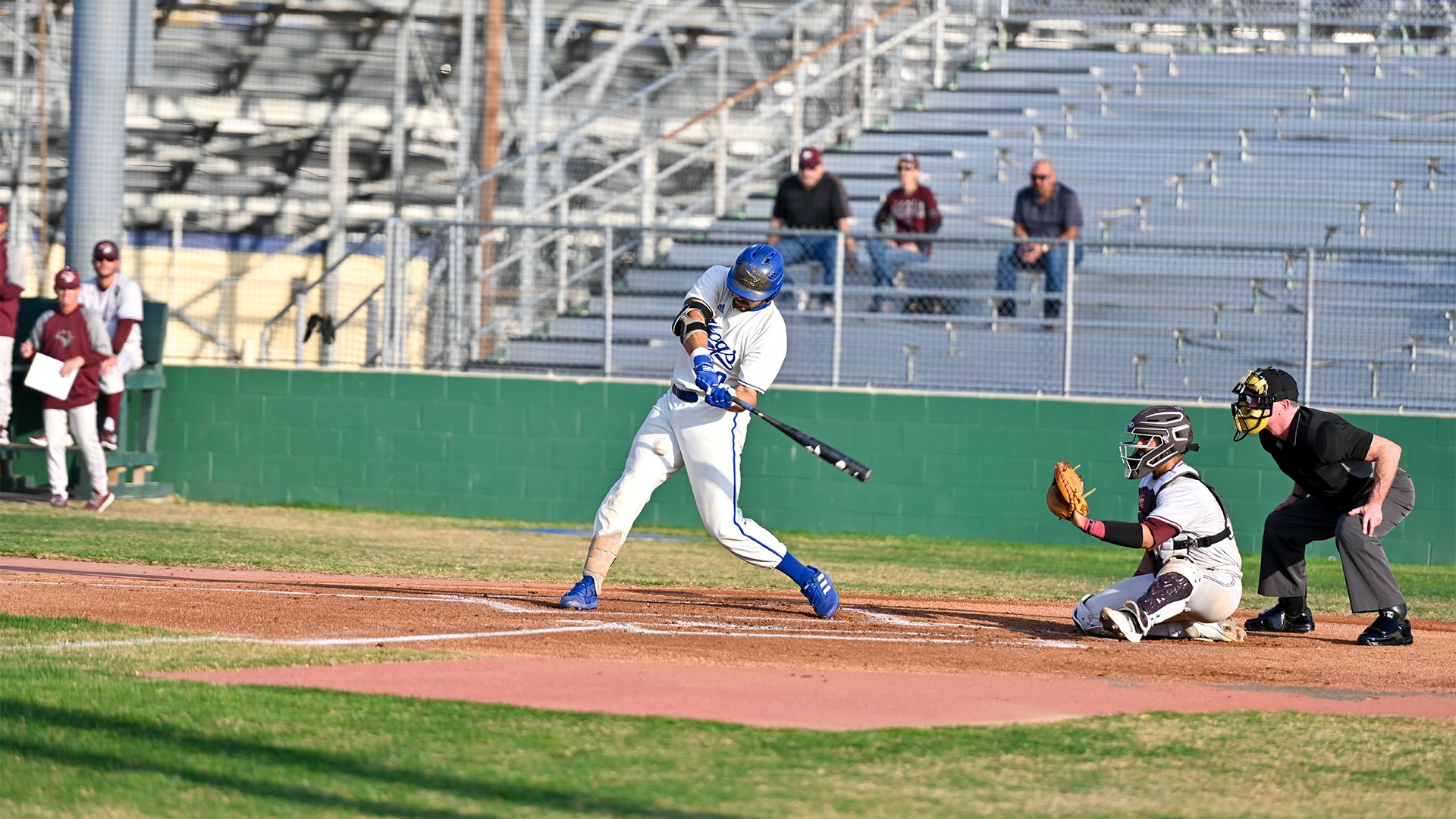 Nick Wolff - Baseball - Texas A&M - Kingsville Athletics
