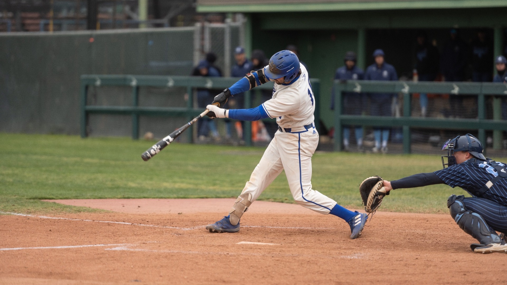 Nick Wolff - Baseball - Texas A&M - Kingsville Athletics