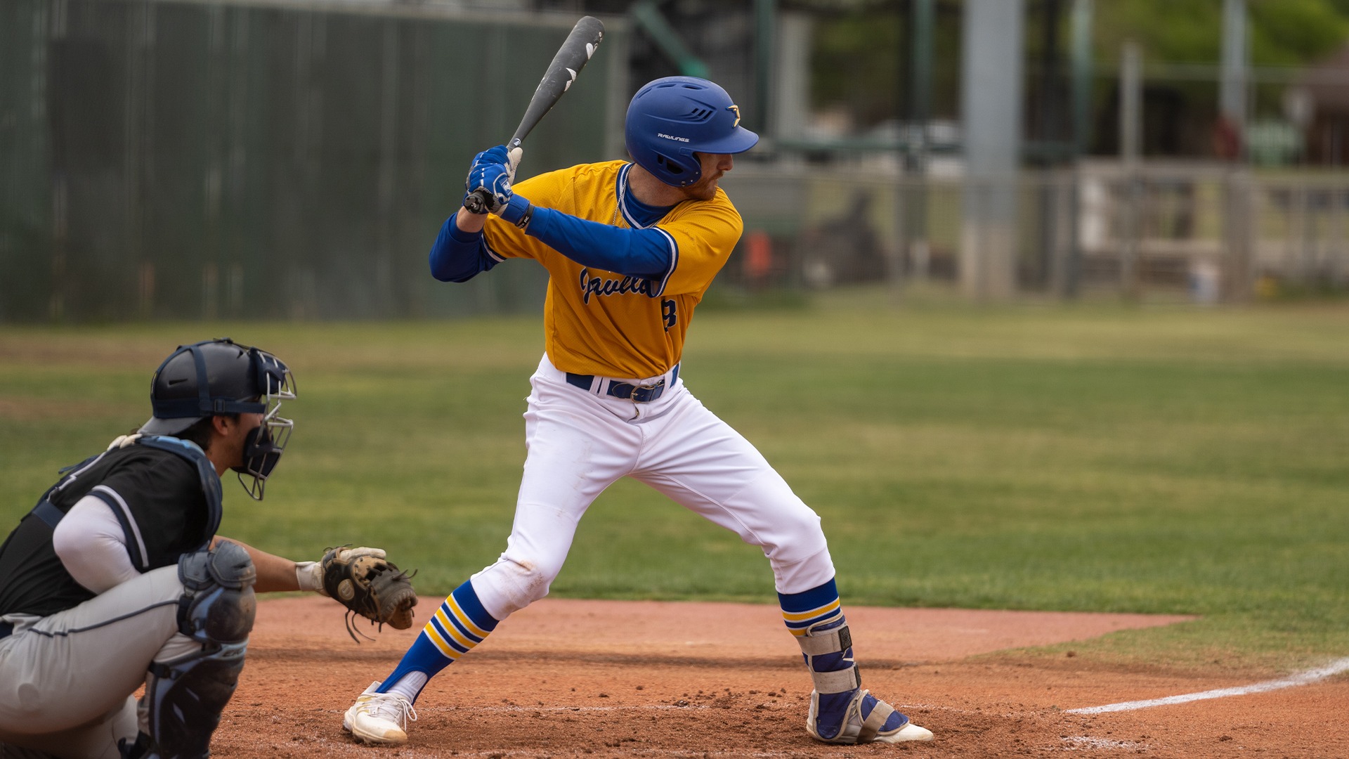 Shelby Becker - Baseball - Texas A&M - Kingsville Athletics