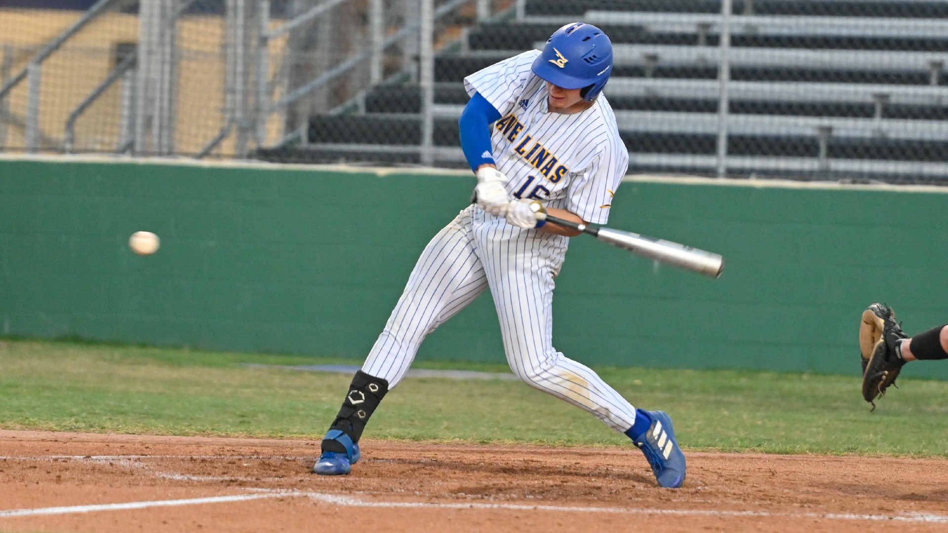 Jacob Rosales - Baseball - Texas A&M - Kingsville Athletics