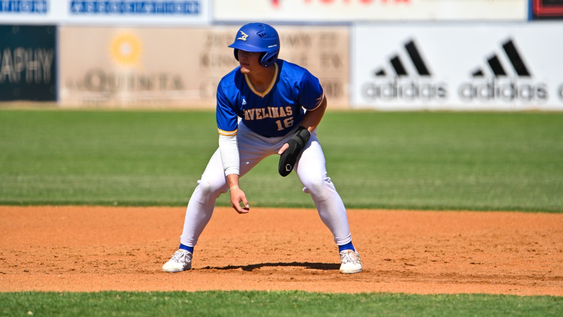 Dalton Kramer - Baseball - Texas A&M - Kingsville Athletics