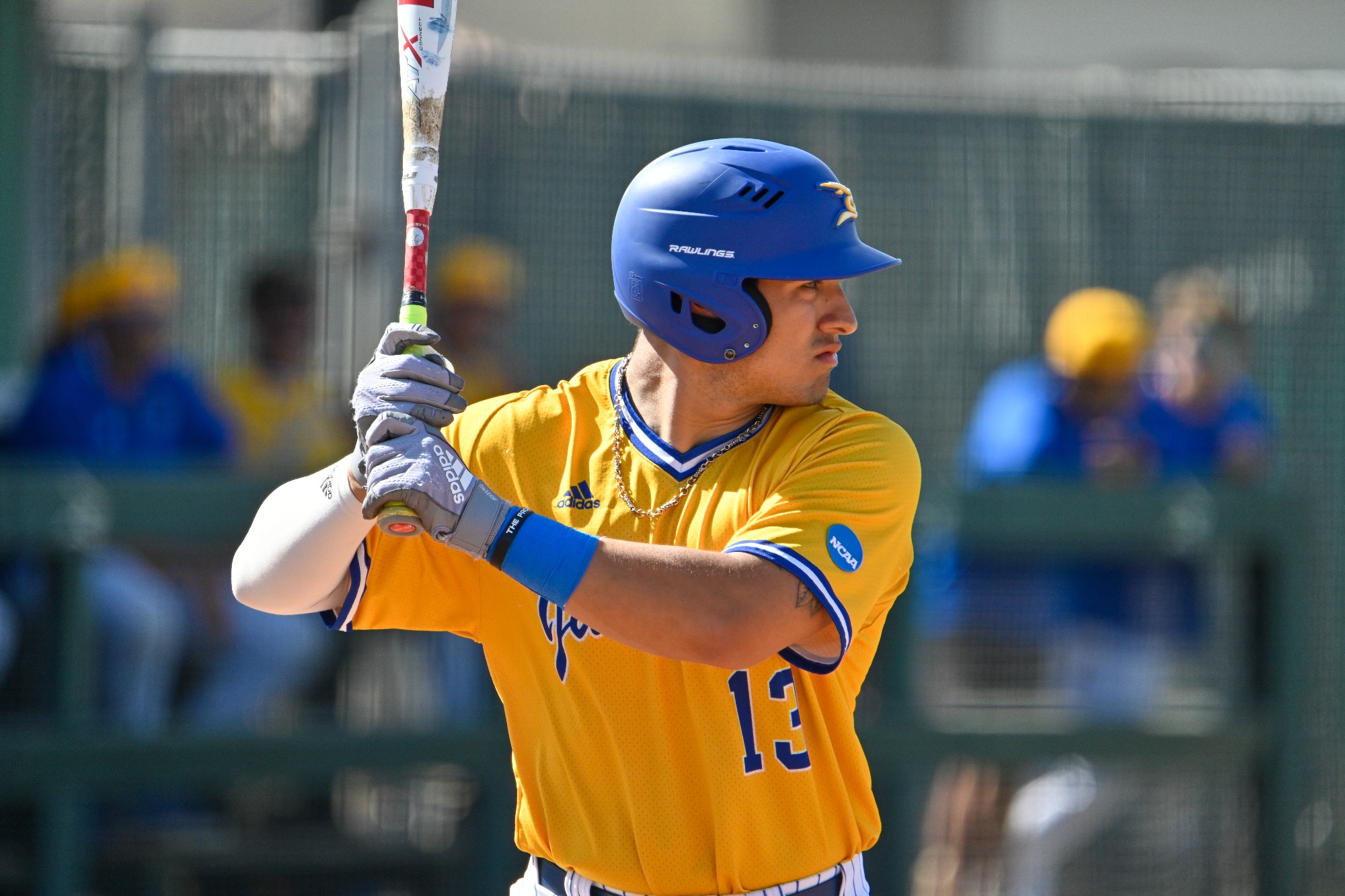Four plate runs as Javs fall to Chaps, 9-4 - Texas A&M - Kingsville ...