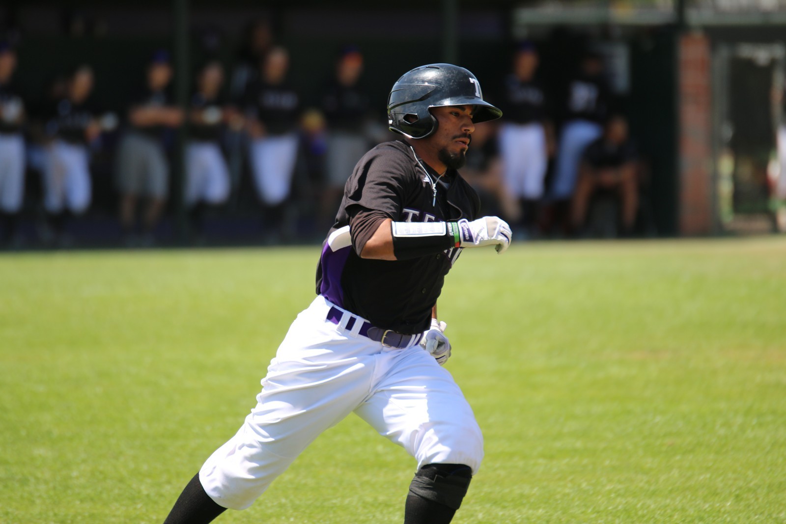 Noel Nevarez - Baseball - Tarleton State University Athletics