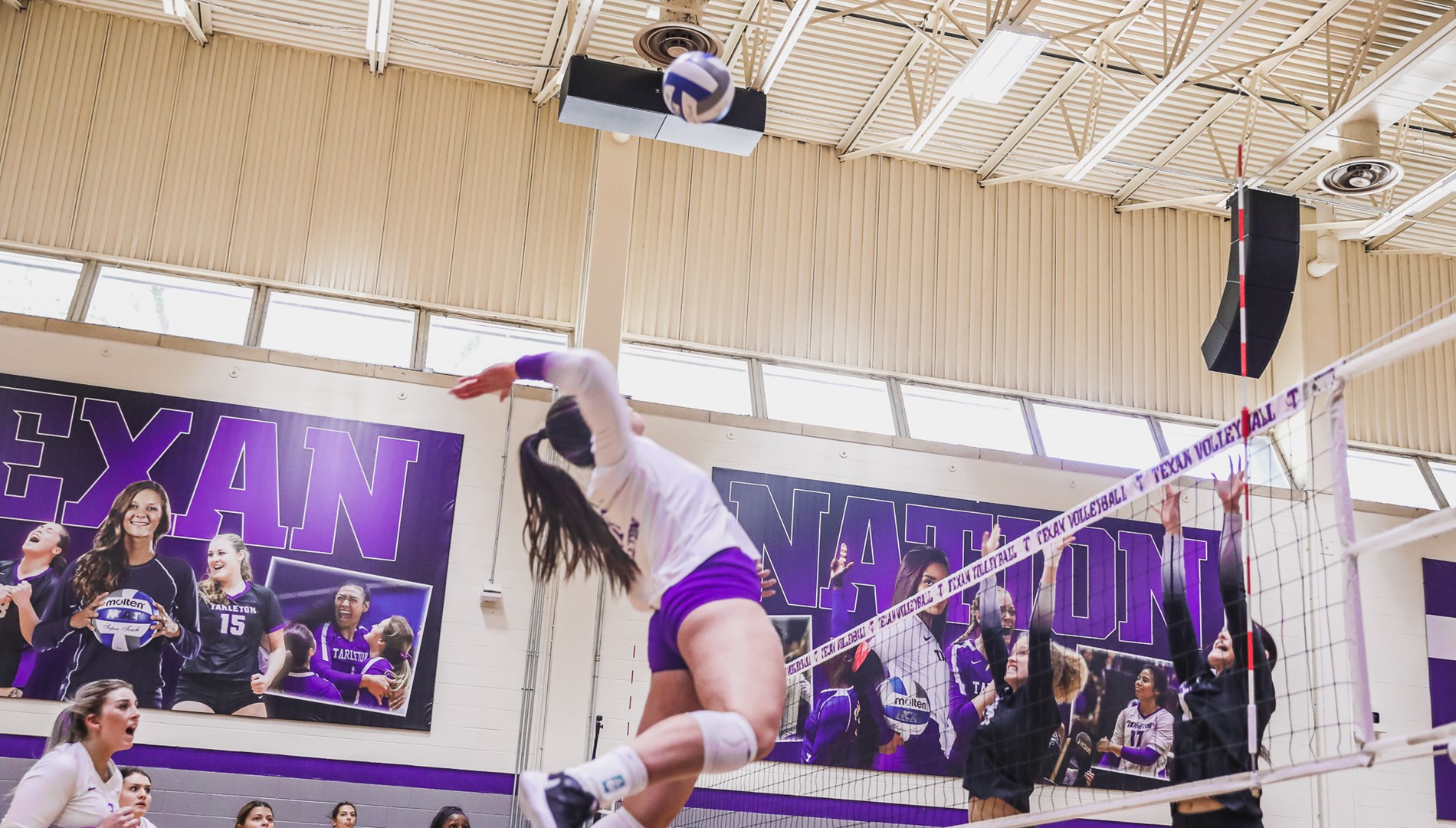 Lauren Kersey - Women's Volleyball - Tarleton State University Athletics