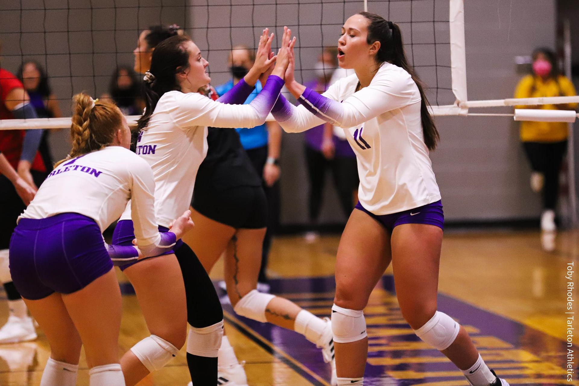 Lauren Kersey - Women's Volleyball - Tarleton State University Athletics