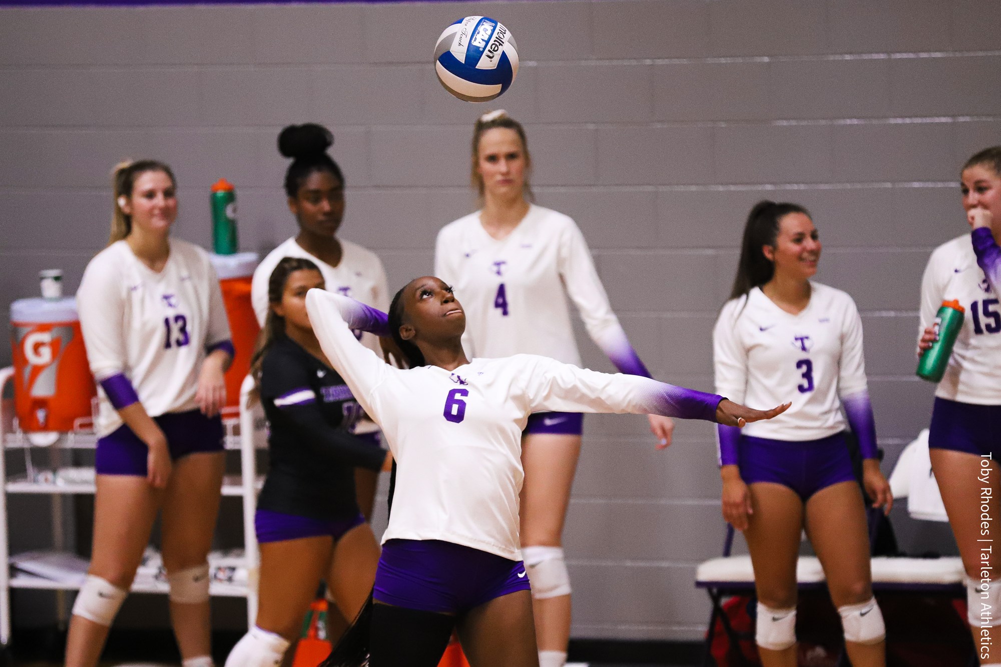 Lorin McNeil - Women's Volleyball - Tarleton State University Athletics