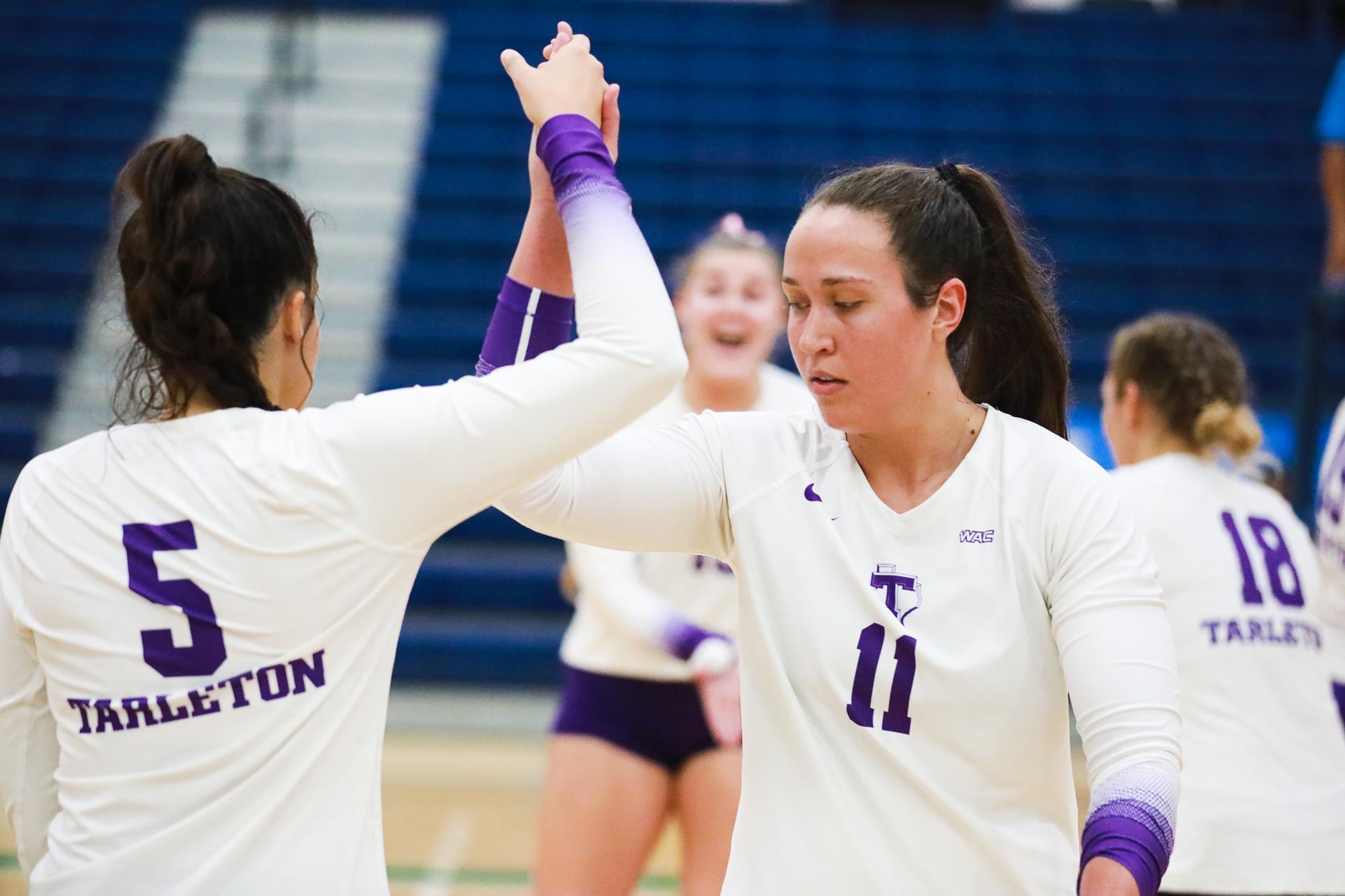 Lauren Kersey - Women's Volleyball - Tarleton State University Athletics