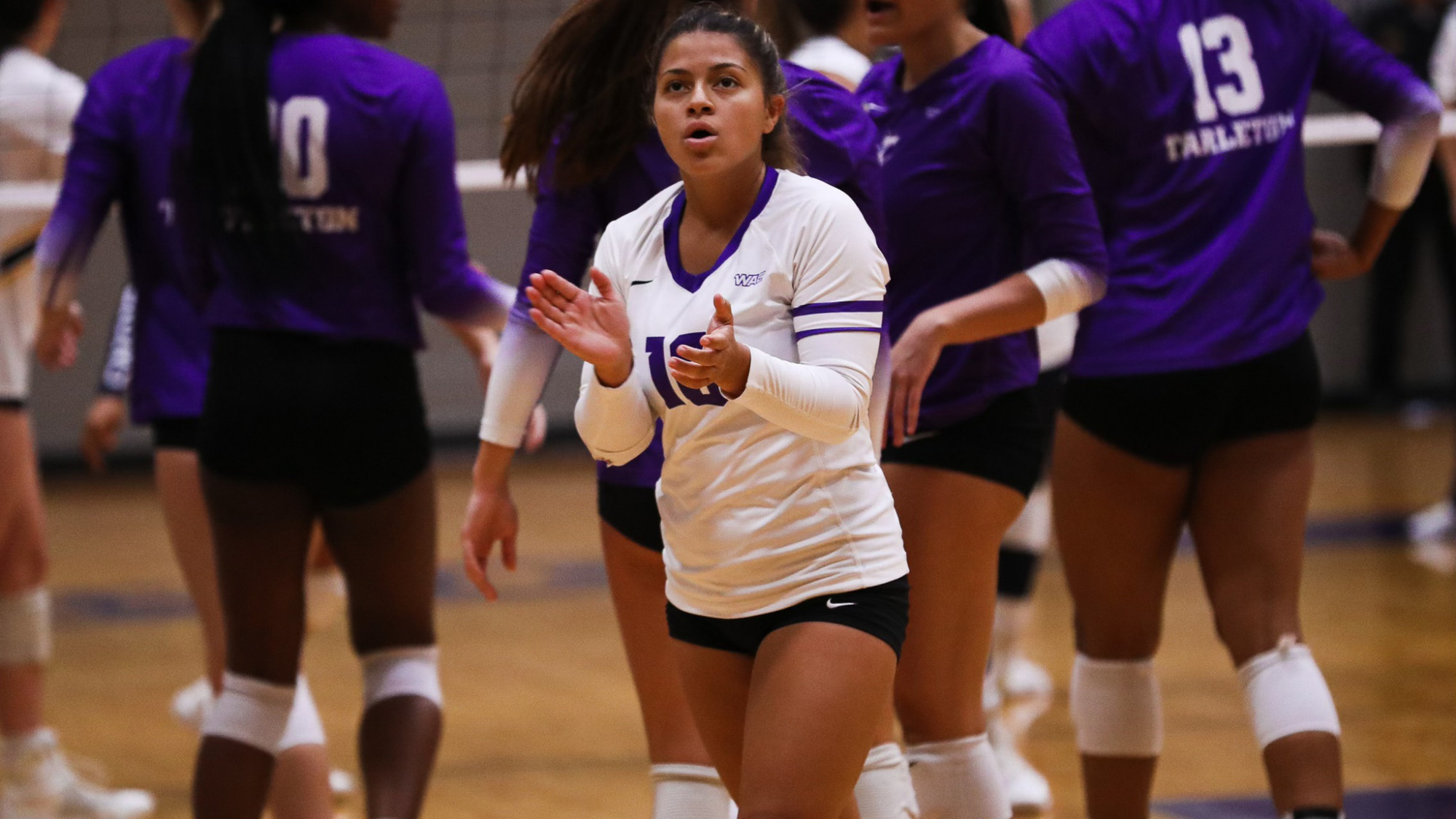 Ana Costas - Women's Volleyball - Tarleton State University Athletics