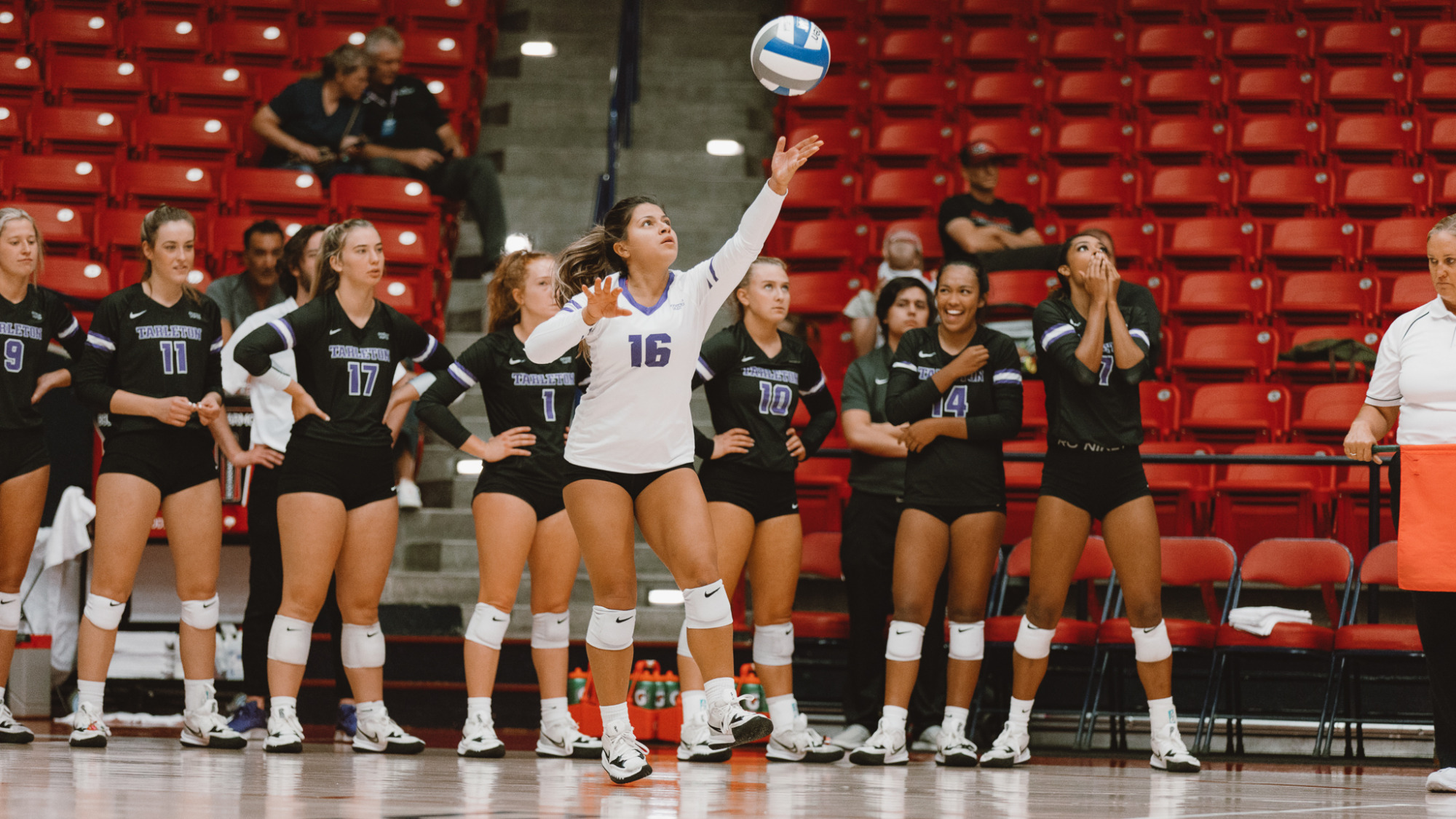 Ana Costas - Women's Volleyball - Tarleton State University Athletics