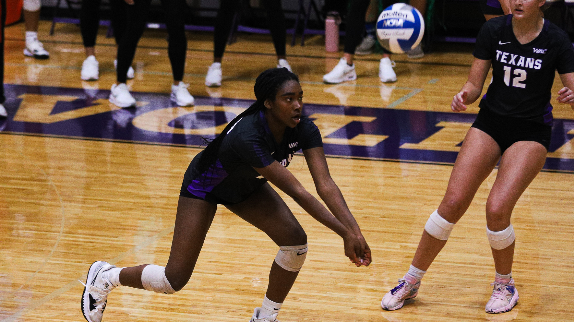 Megan Haynes - Women's Volleyball - Tarleton State University Athletics