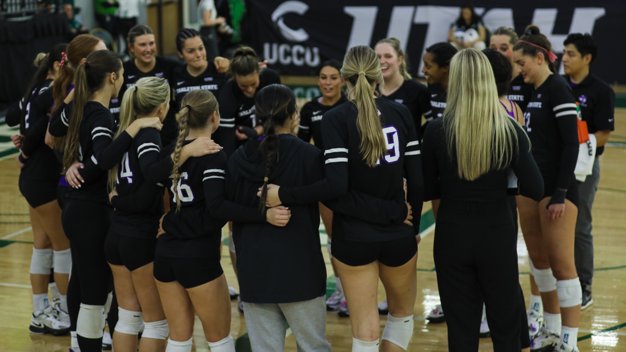 Texan Volleyball opens registration for 10 summer camp opportunities ...