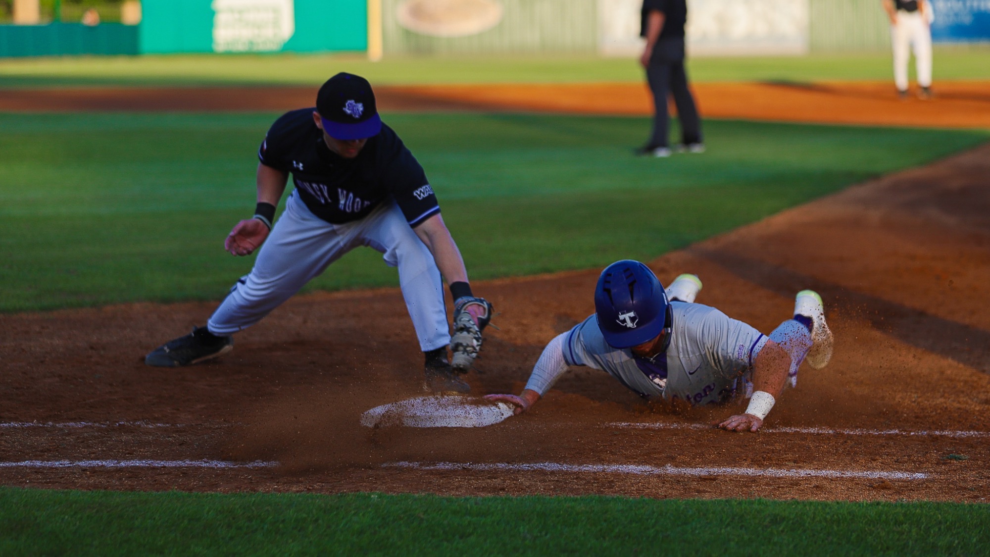 Kooper Shook - Baseball - Tarleton State University Athletics