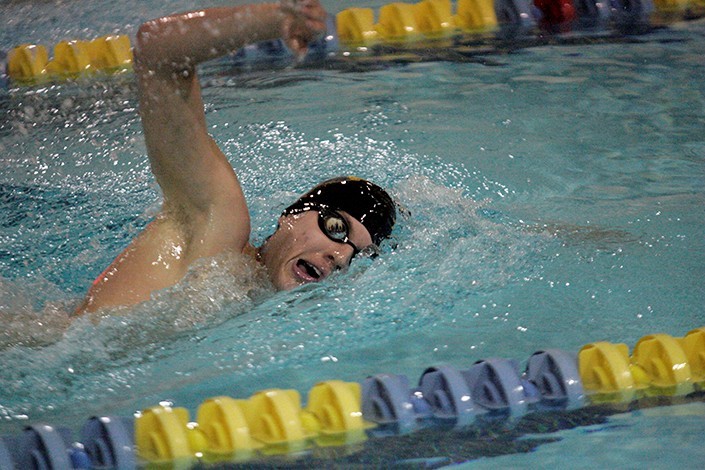 Jason Ivins - Men's Swimming & Diving - The College of New Jersey Athletics