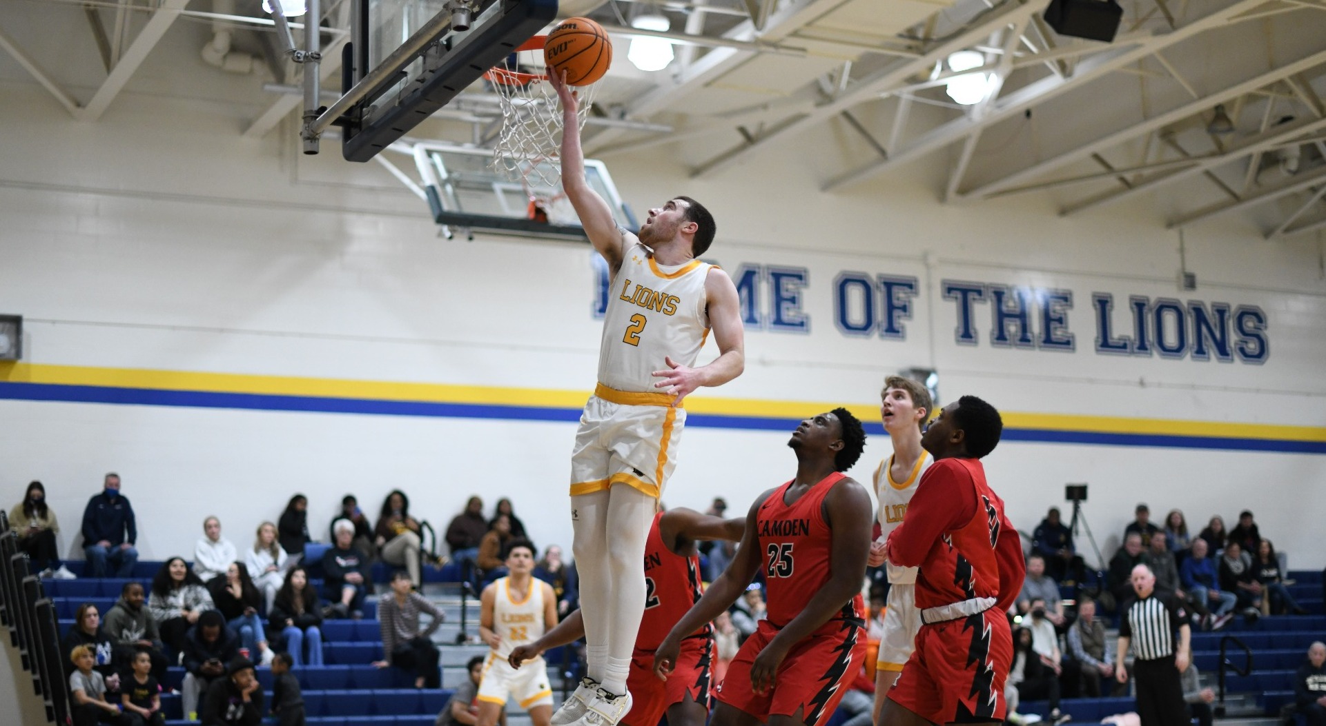 Pat Higgins - Men's Basketball - The College of New Jersey Athletics
