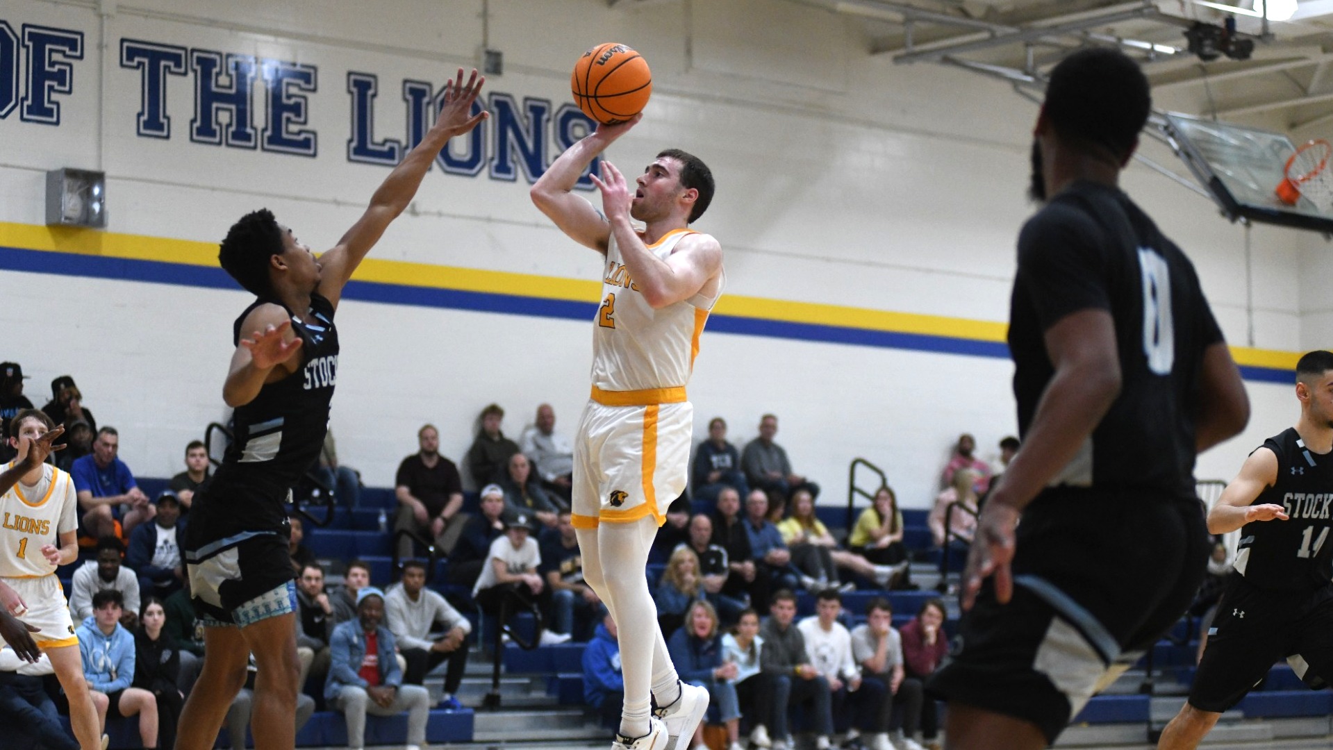 Pat Higgins - Men's Basketball - The College of New Jersey Athletics