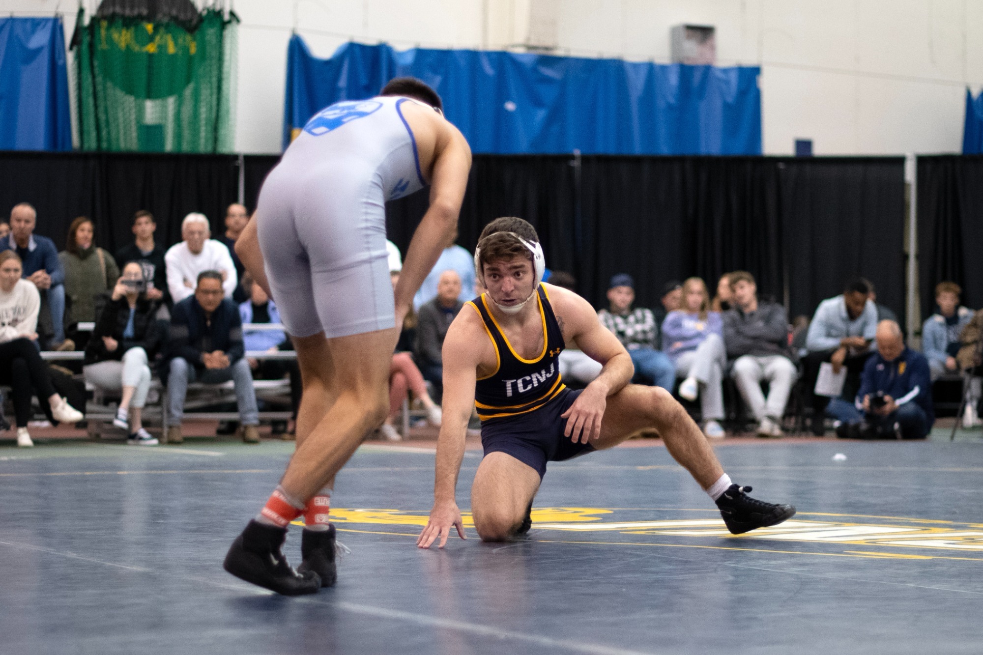 Domenic Difrancescantonio - Wrestling - The College of New Jersey Athletics