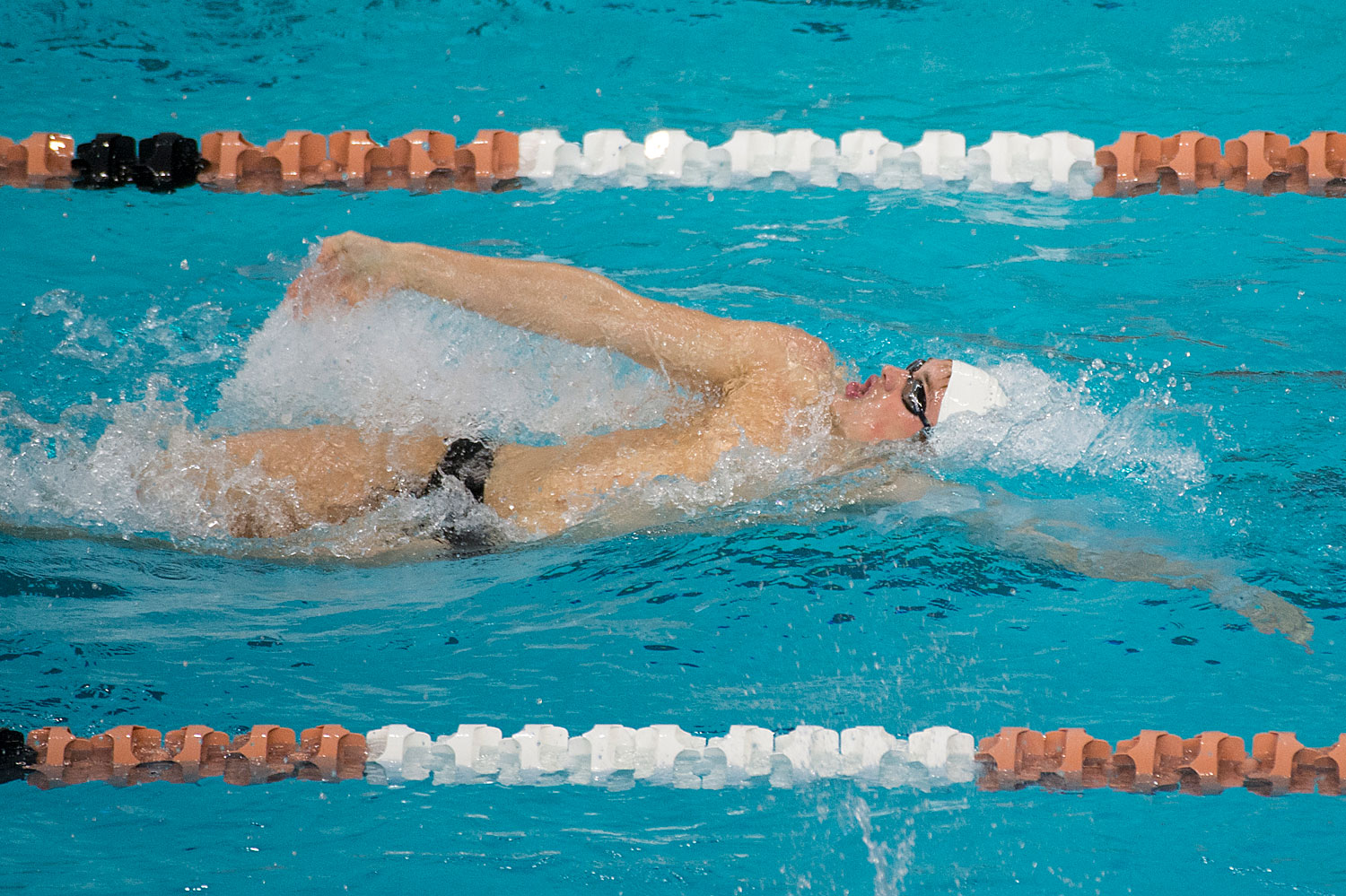 John Shebat - Men's Swimming and Diving - University of Texas Athletics