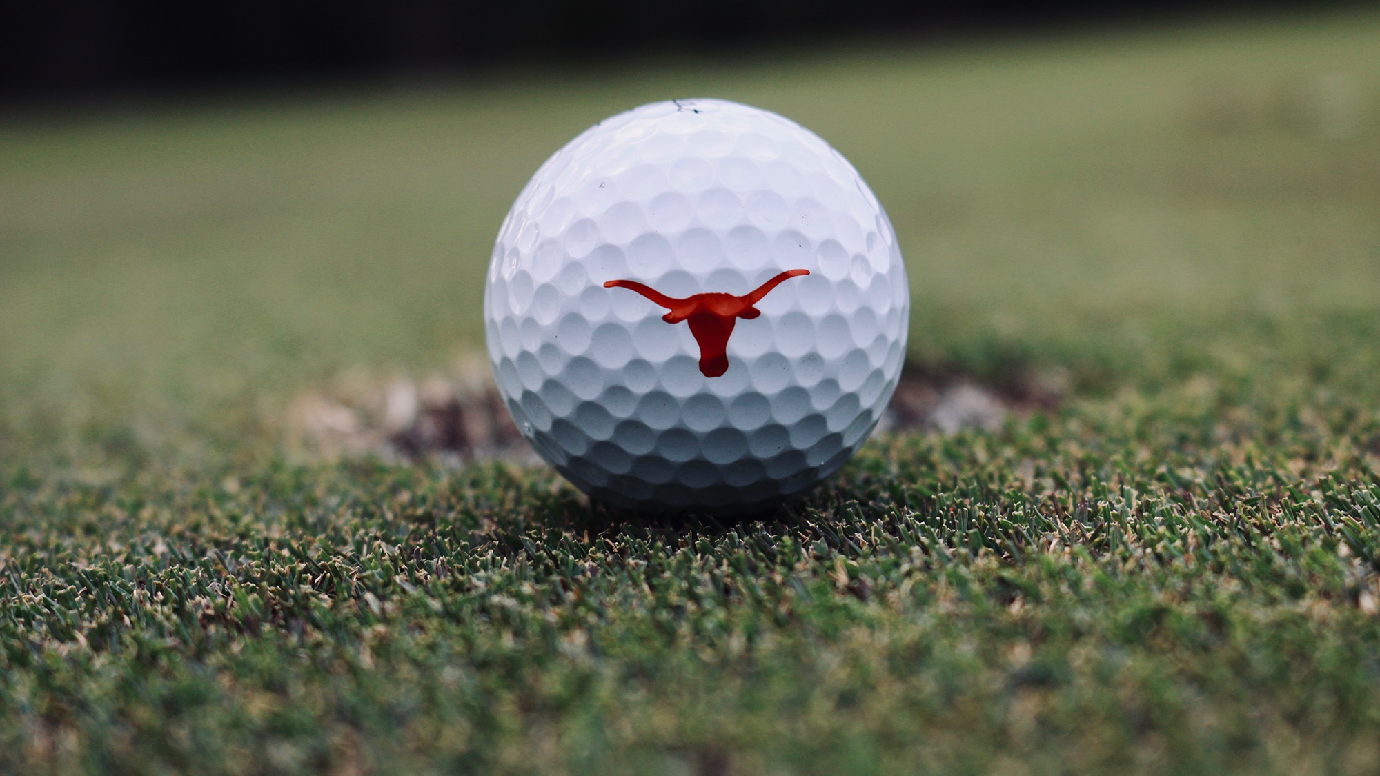 Ianello named Women’s Golf Head Coach at Texas - University of Texas ...
