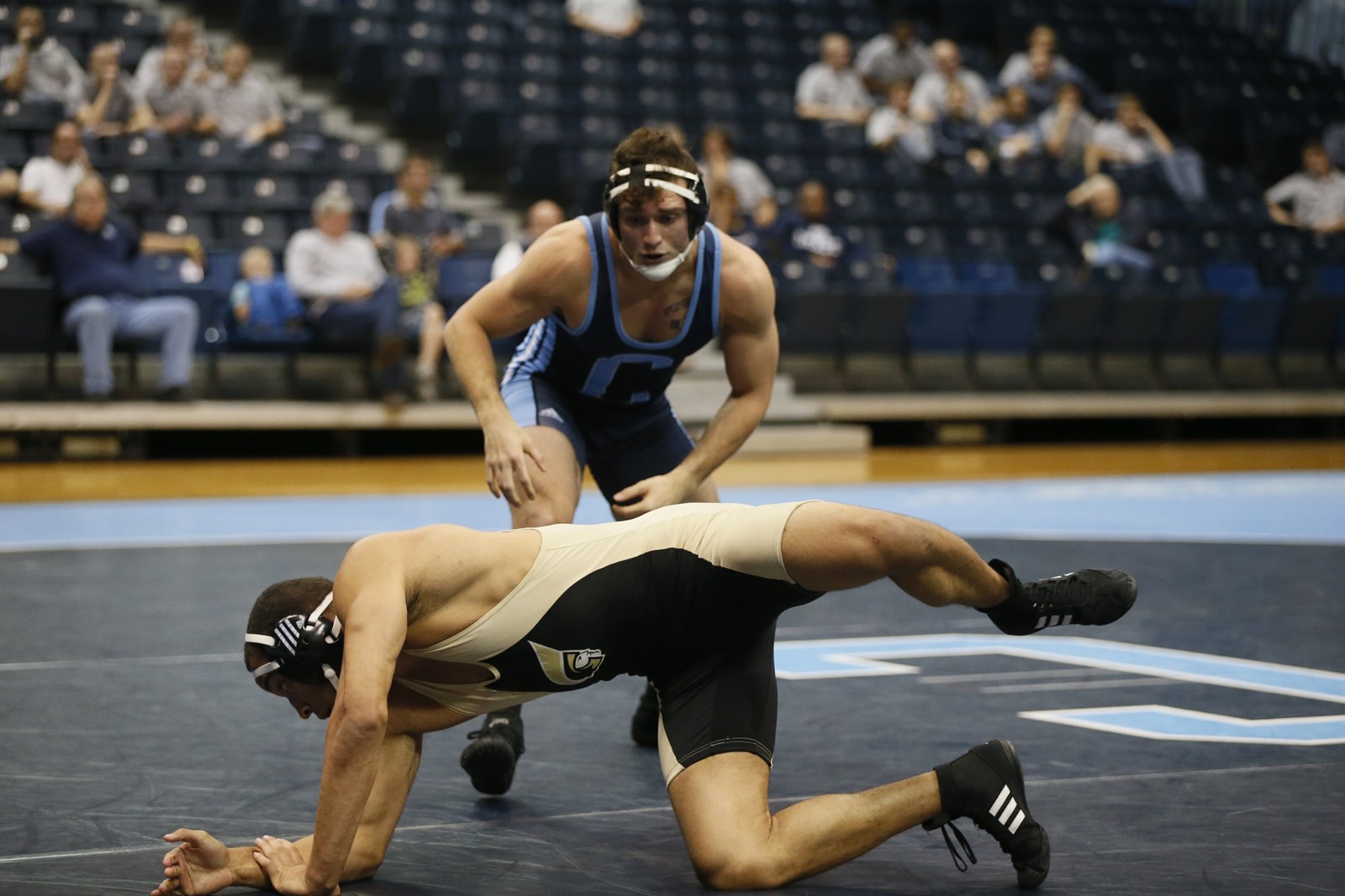 Marshall Haas - Wrestling - The Citadel Athletics