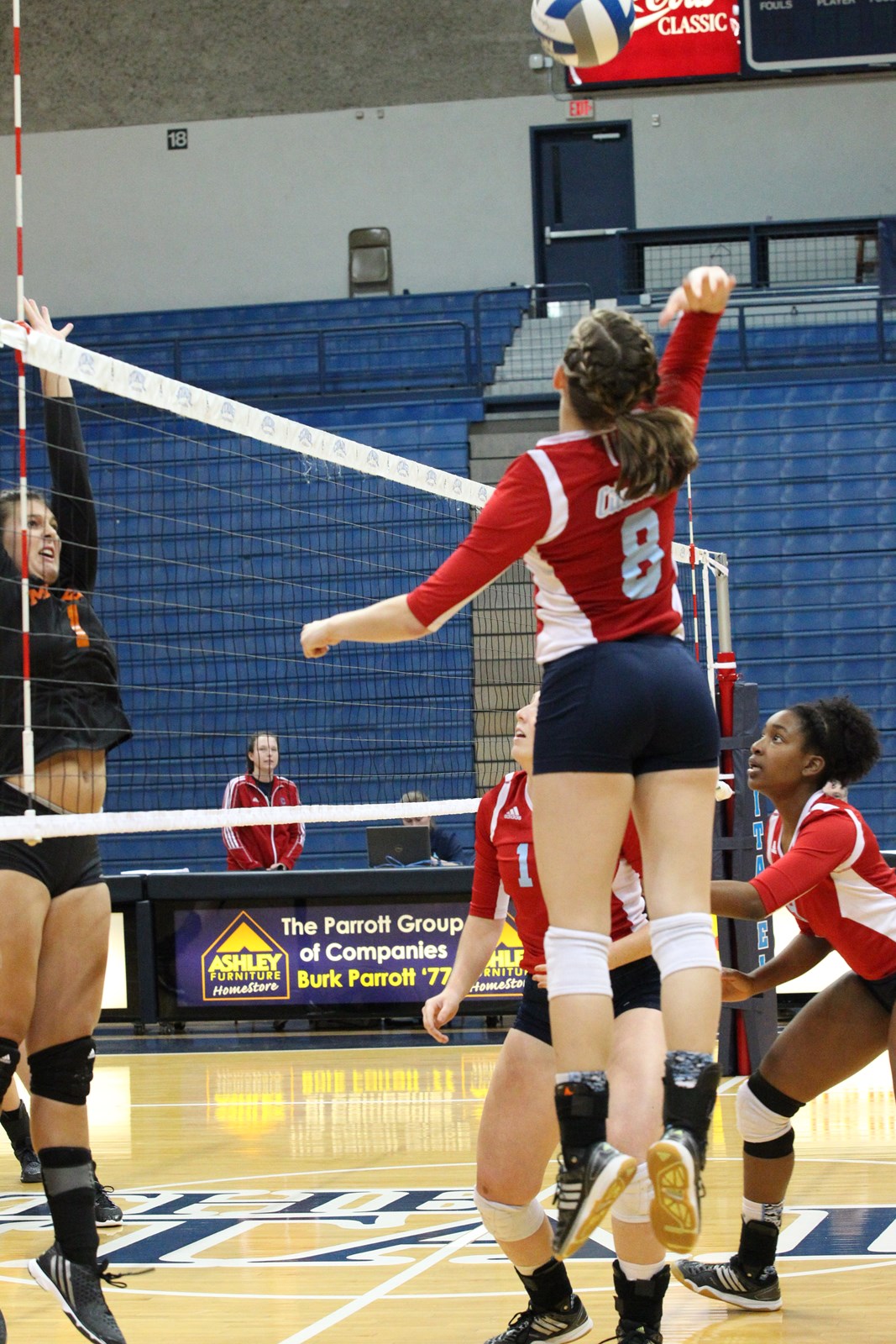 Bailey Kernodle - Volleyball - The Citadel Athletics