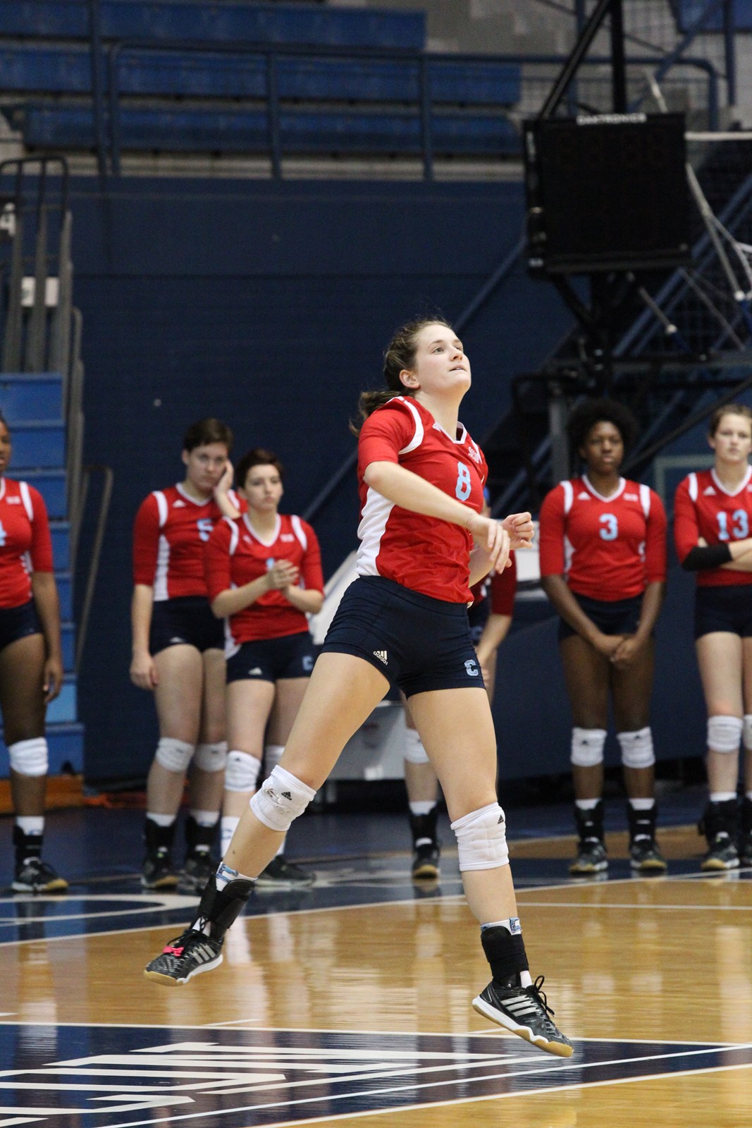 Bailey Kernodle - Volleyball - The Citadel Athletics