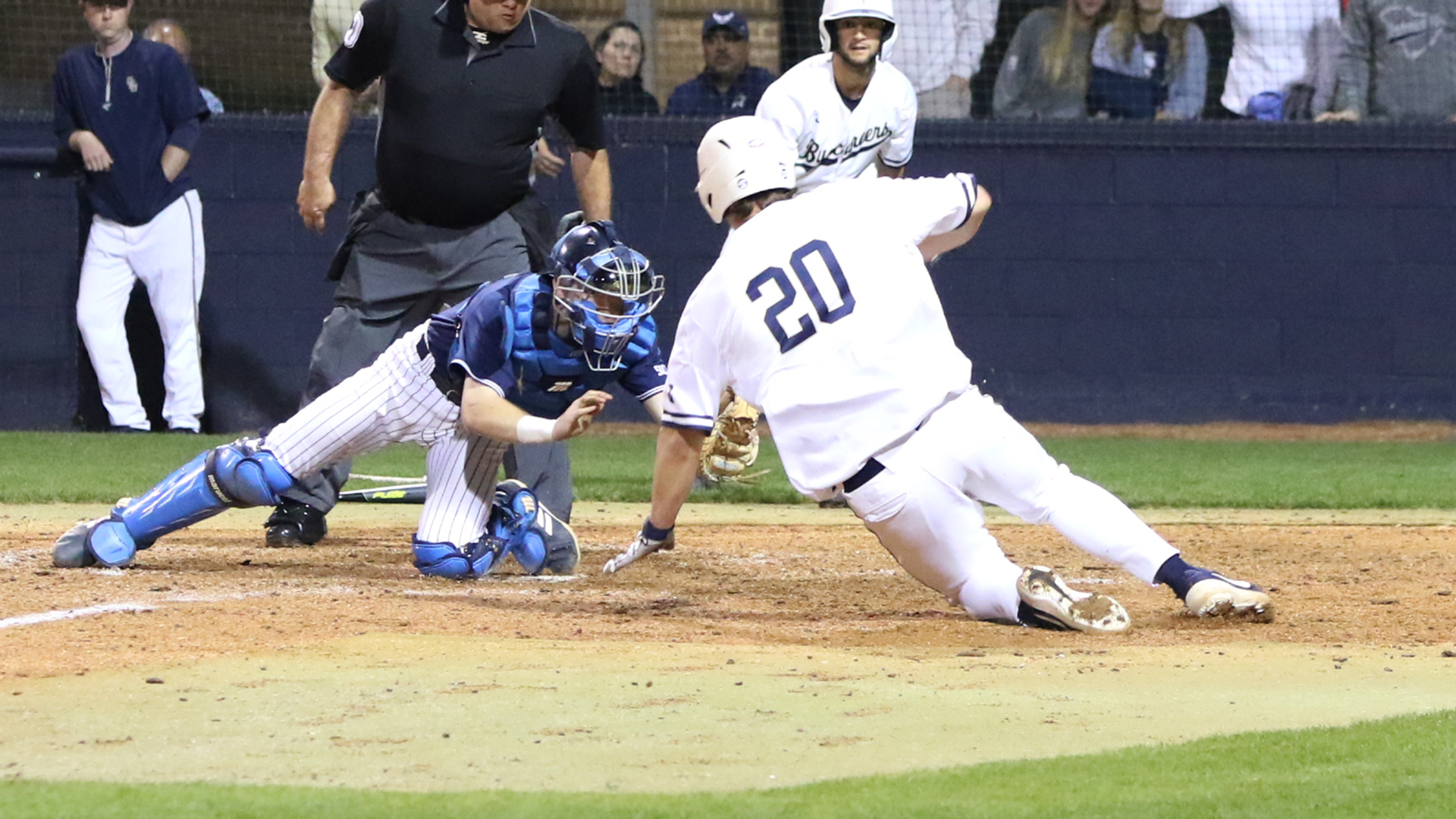 Will Bastian - Baseball - The Citadel Athletics
