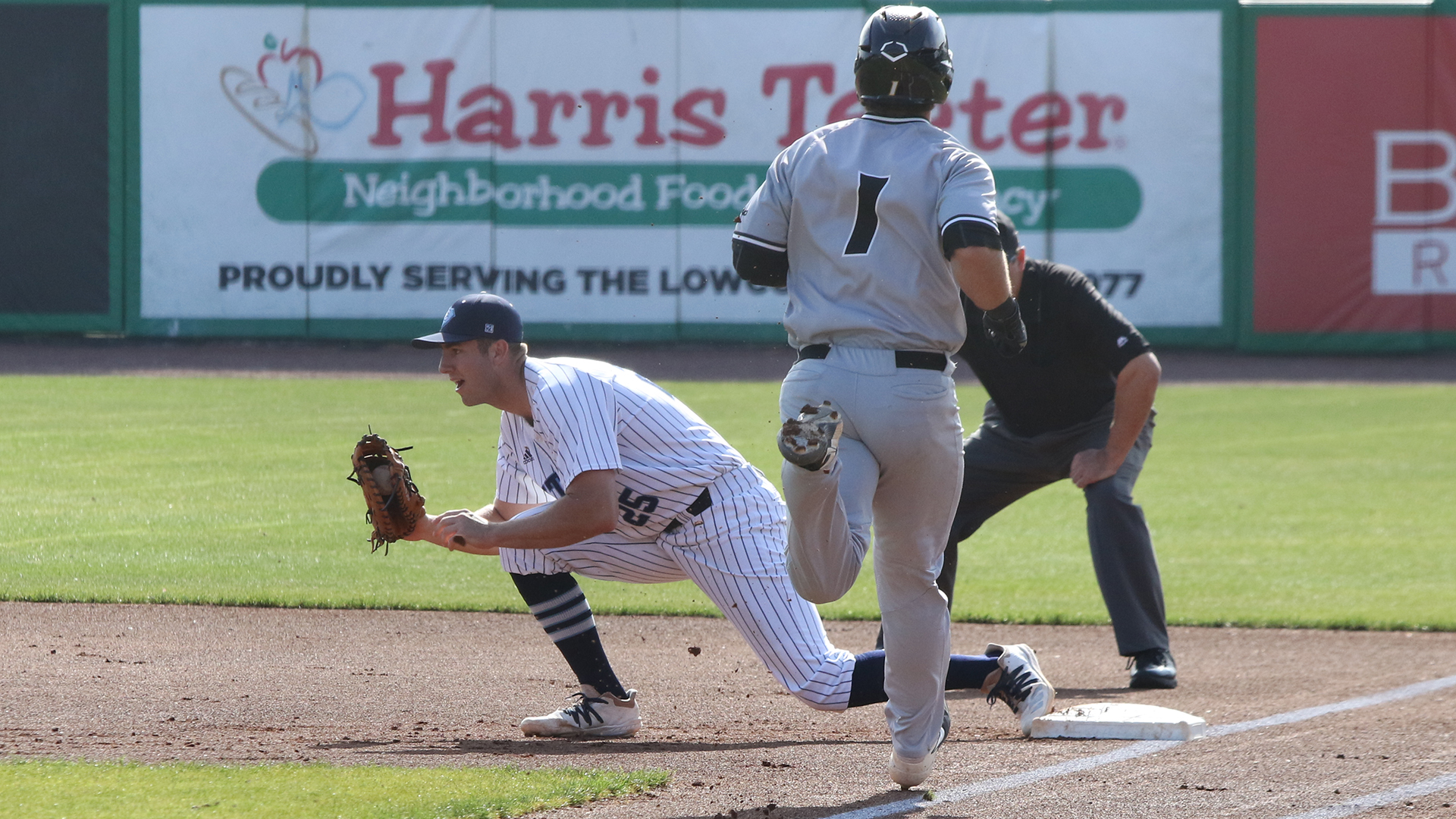 Ches Goodman - Baseball - The Citadel Athletics