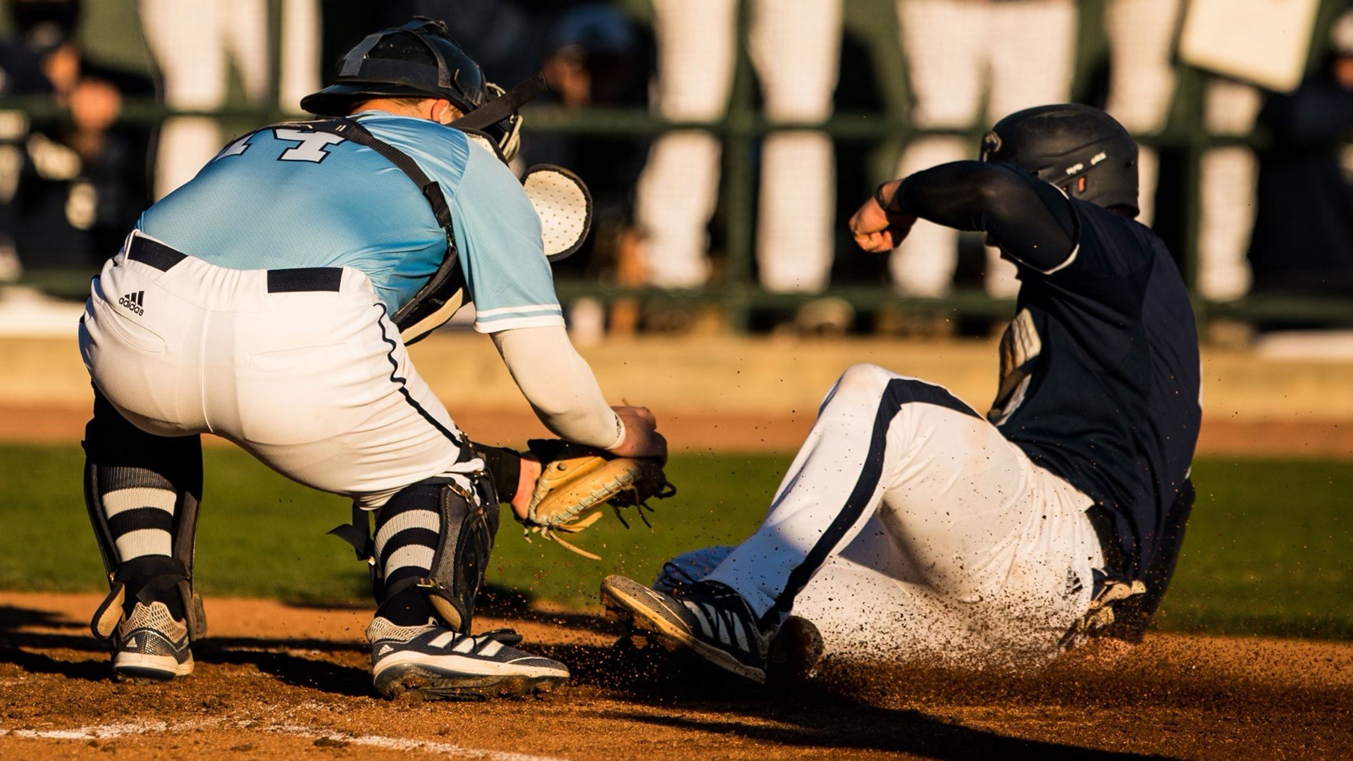 Travis Lott - Baseball - The Citadel Athletics