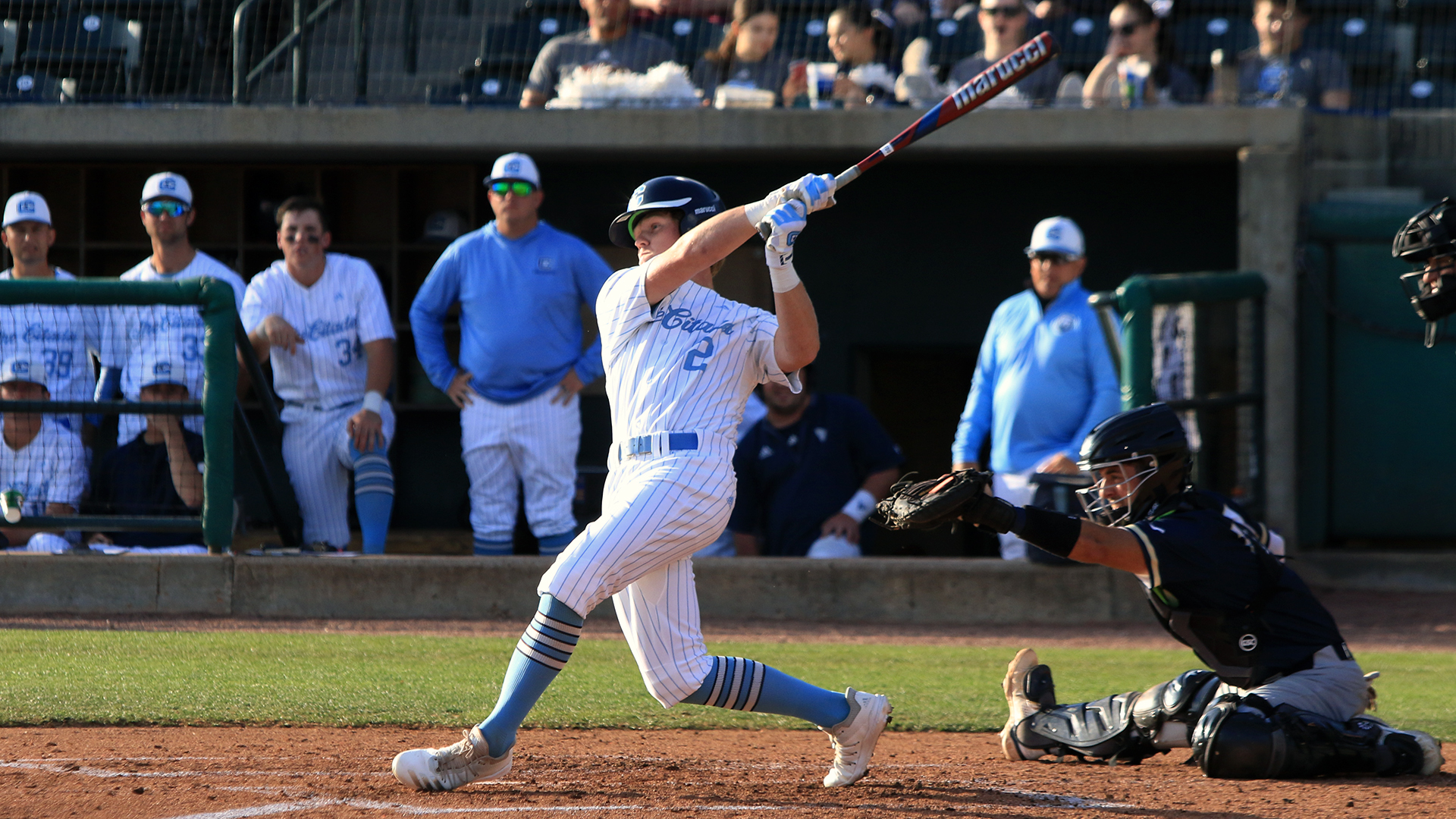 Wesley Lane - Baseball - The Citadel Athletics