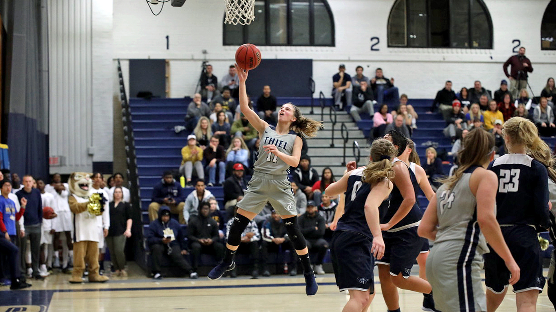 Colleen Trainer - Women's Basketball - Thiel College Athletics