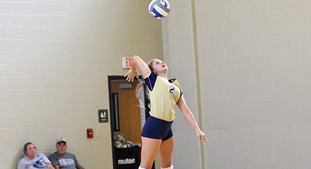 Alex Geraci - Women's Volleyball - Thiel College Athletics