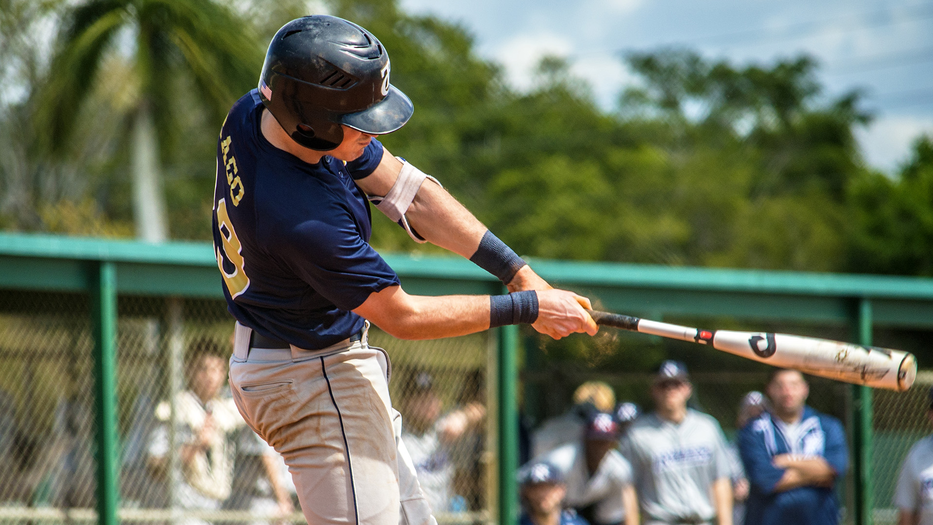 Anthony Rago - Baseball - Thiel College Athletics