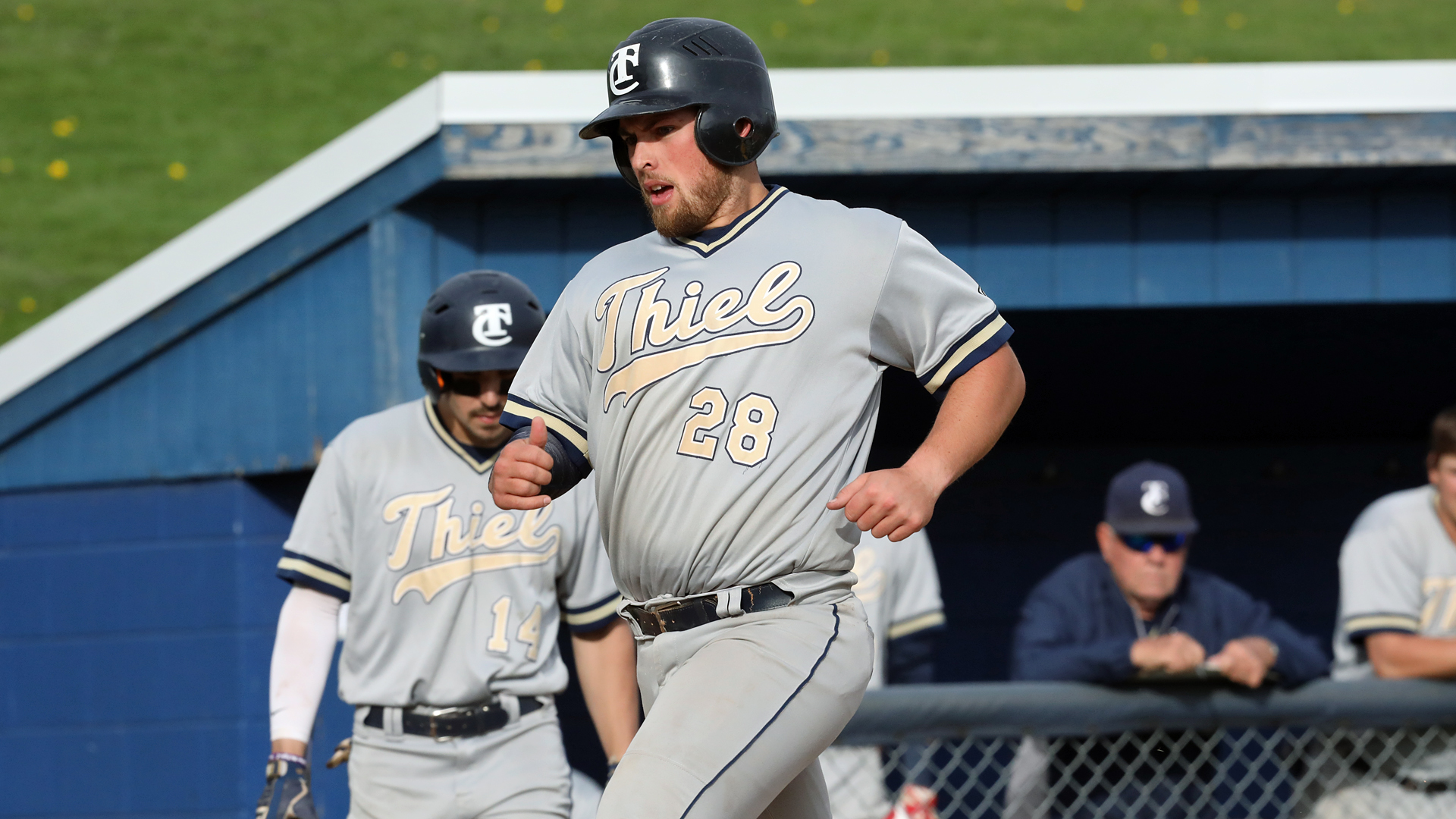 Andrew Giesey - Baseball - Thiel College Athletics